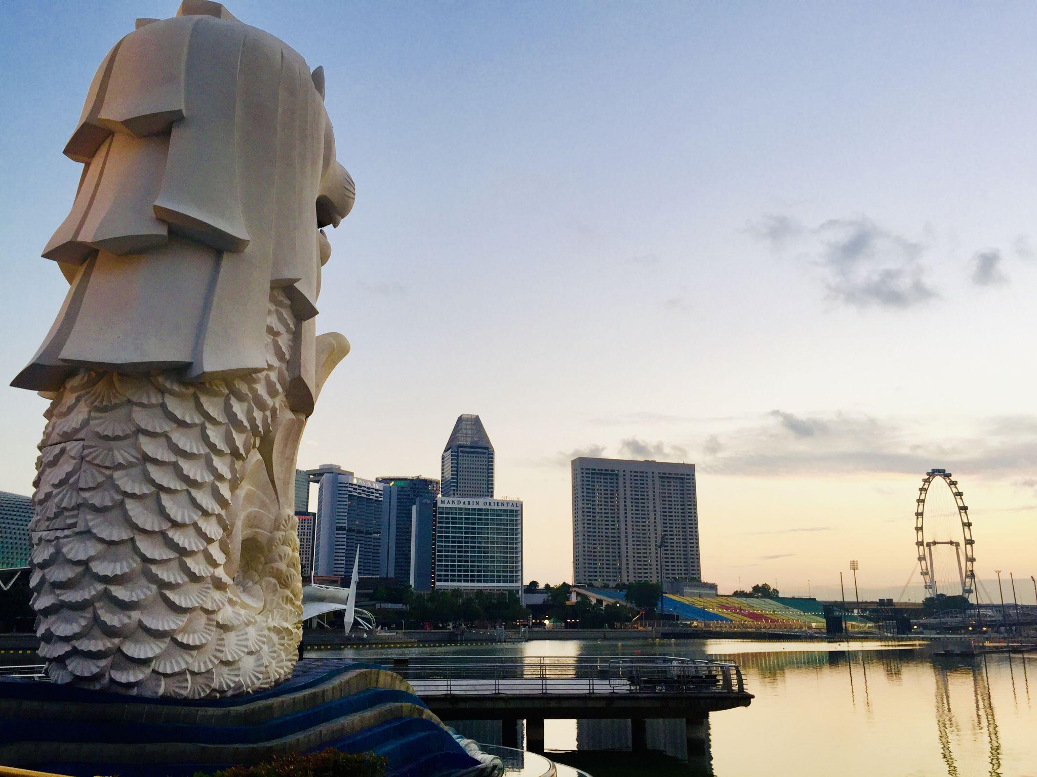 Merlion Singapore Wallpapers - Top Free Merlion Singapore Backgrounds ...