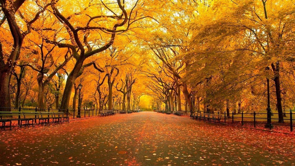 Fall Park Wallpapers - Top Free Fall Park Backgrounds - WallpaperAccess