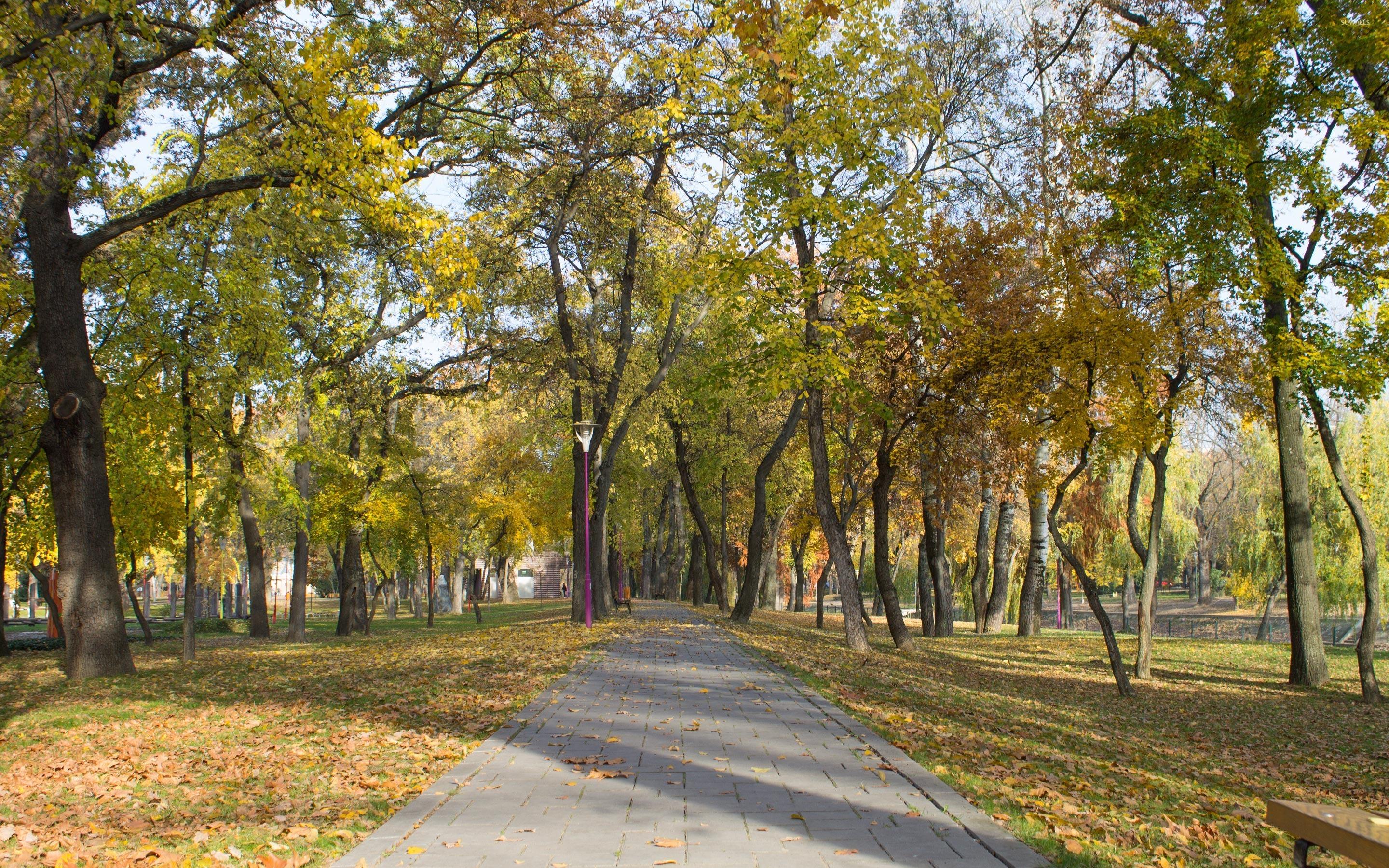 Fall Park Wallpapers - Top Free Fall Park Backgrounds - WallpaperAccess