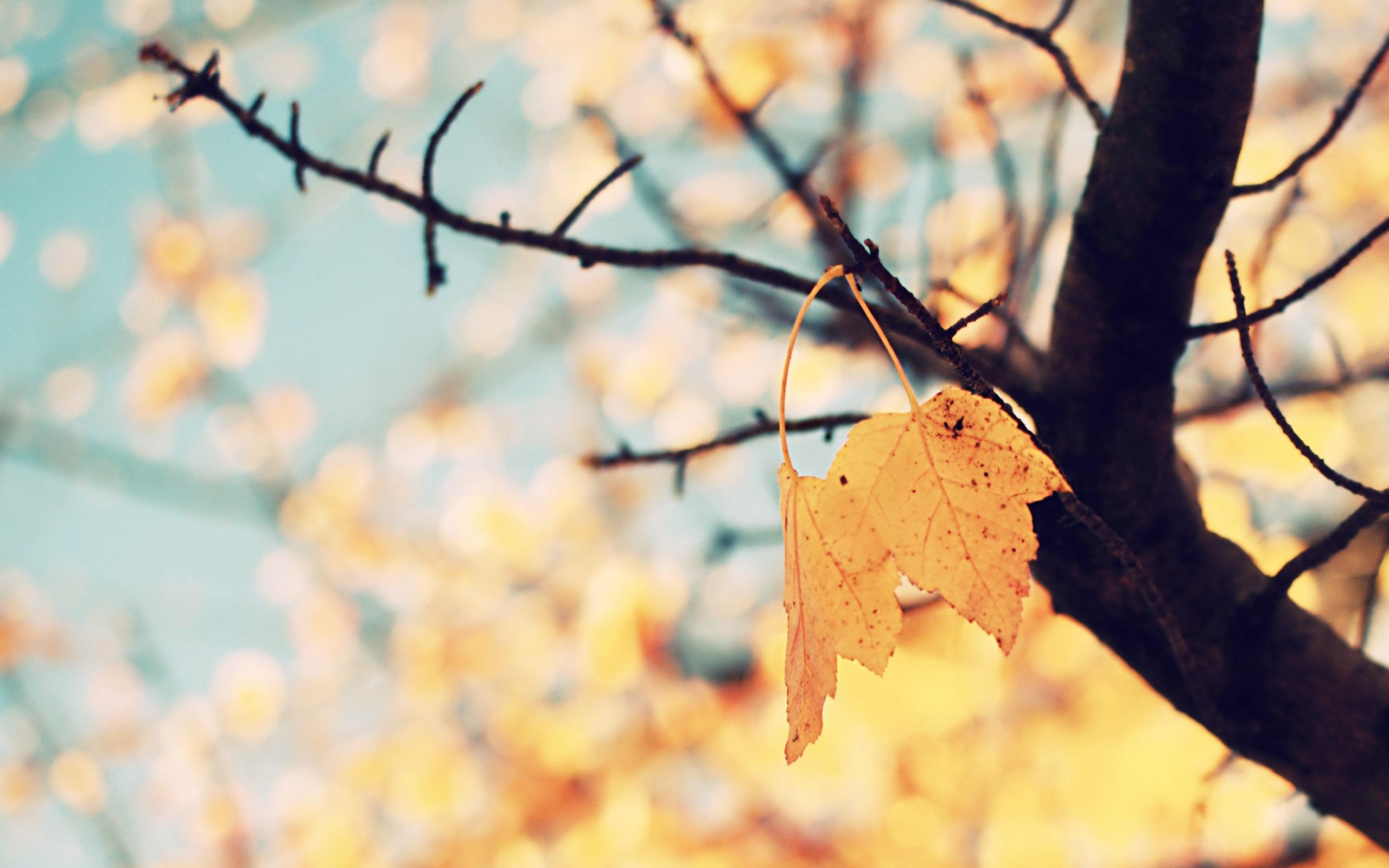 Fall Girl Wallpapers - Top Free Fall Girl Backgrounds - WallpaperAccess