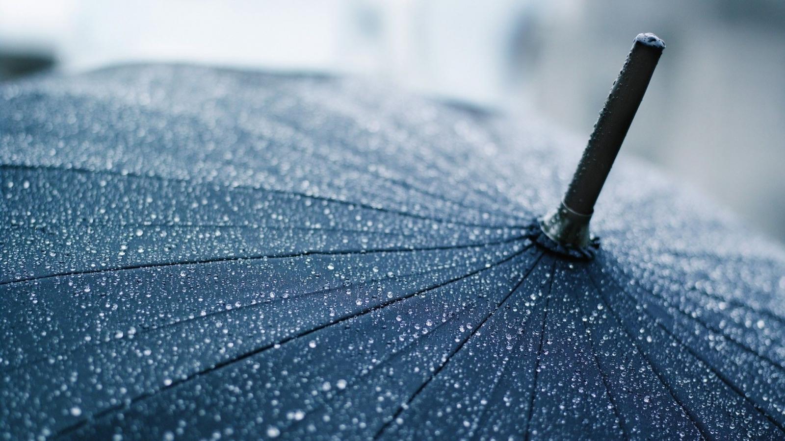Umbrella Computer Wallpapers - Top Free Umbrella Computer Backgrounds ...