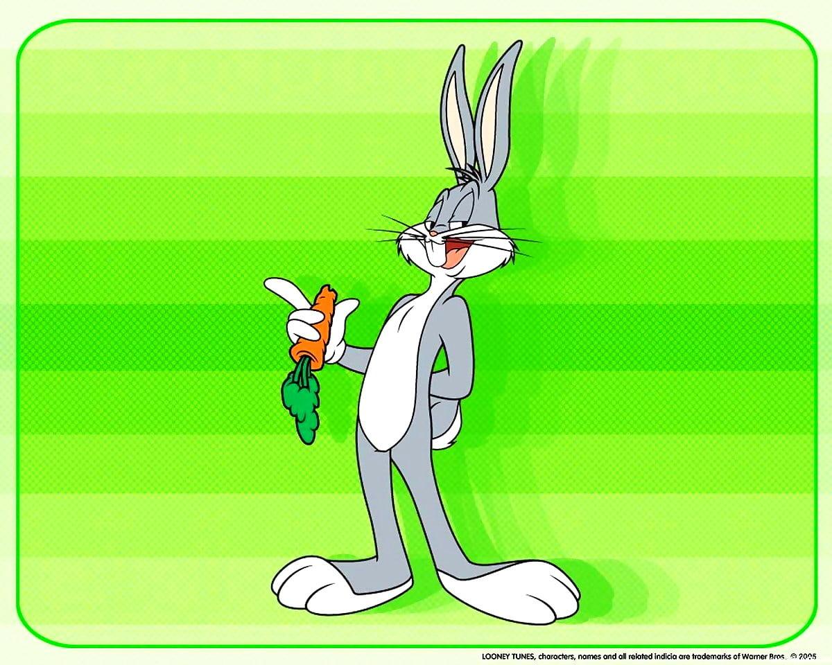 Bugs Bunny Cartoon Wallpapers - Top Free Bugs Bunny Cartoon Backgrounds ...