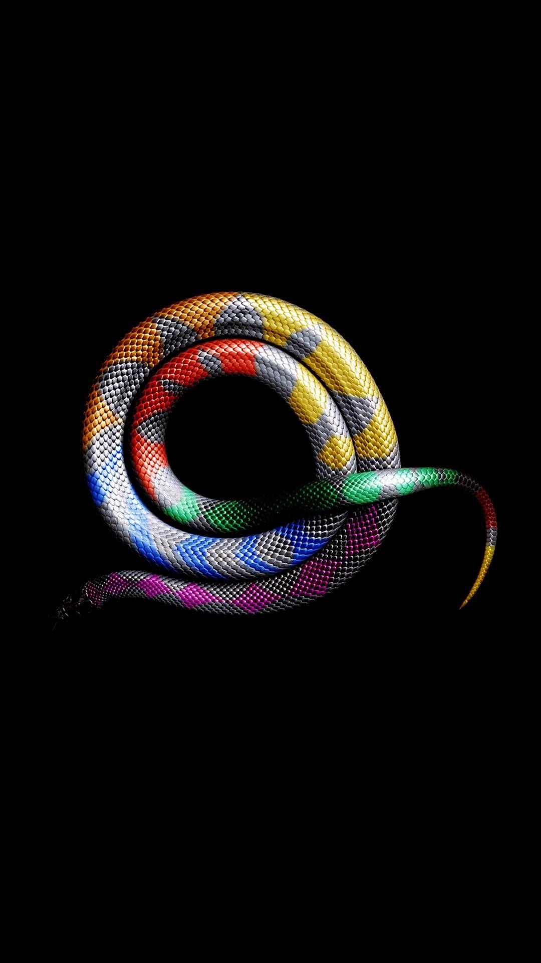 Rainbow Snake Wallpapers - Top Free Rainbow Snake Backgrounds ...