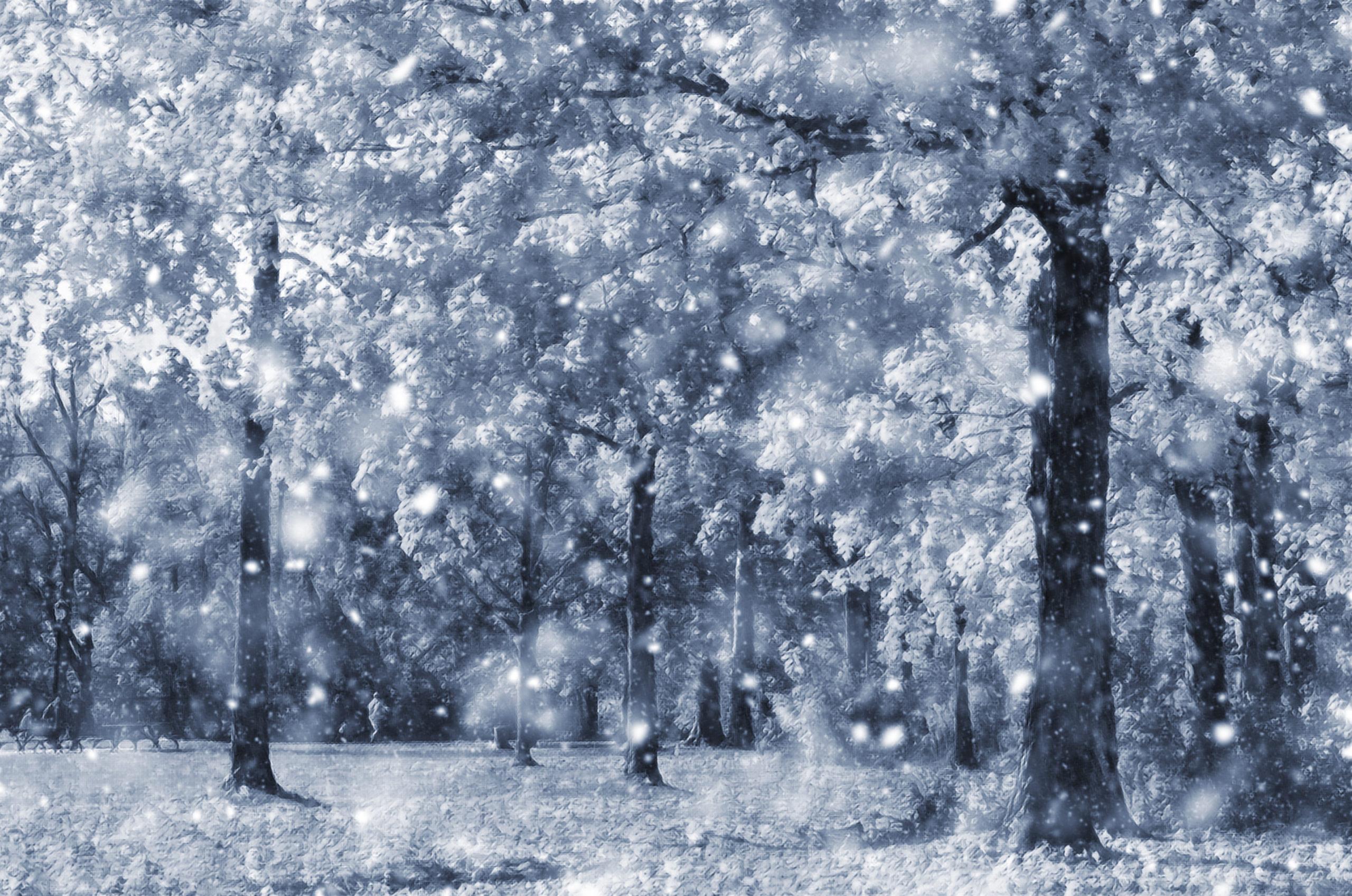 Snowy Forest Desktop Wallpapers - Top Free Snowy Forest Desktop ...