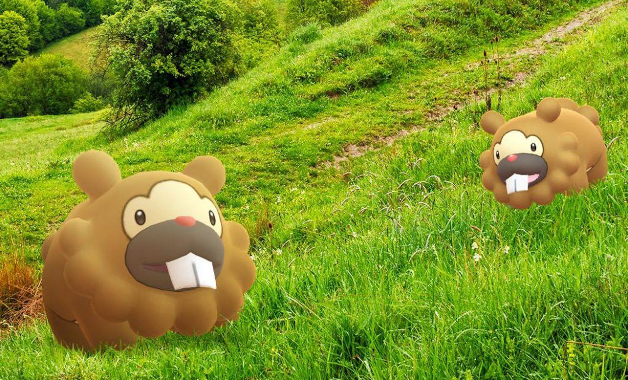 Bidoof Wallpapers - Top Free Bidoof Backgrounds - WallpaperAccess