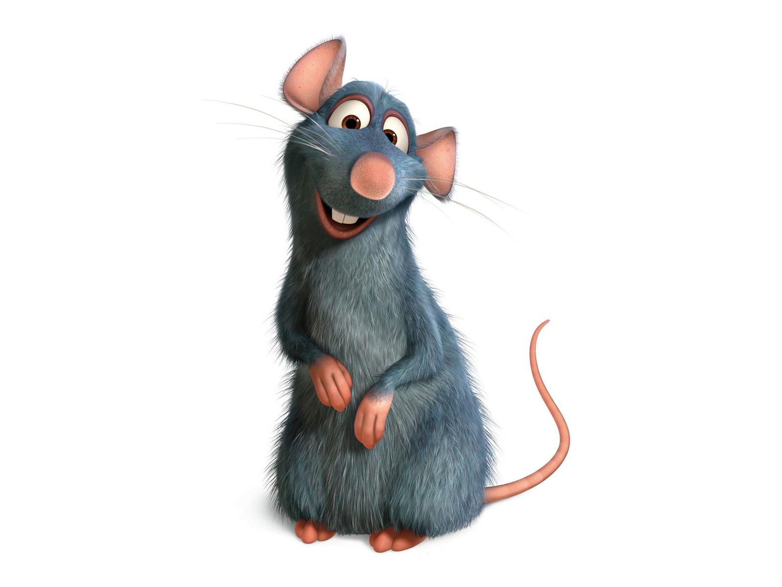Rats Wallpapers - Top Free Rats Backgrounds - WallpaperAccess