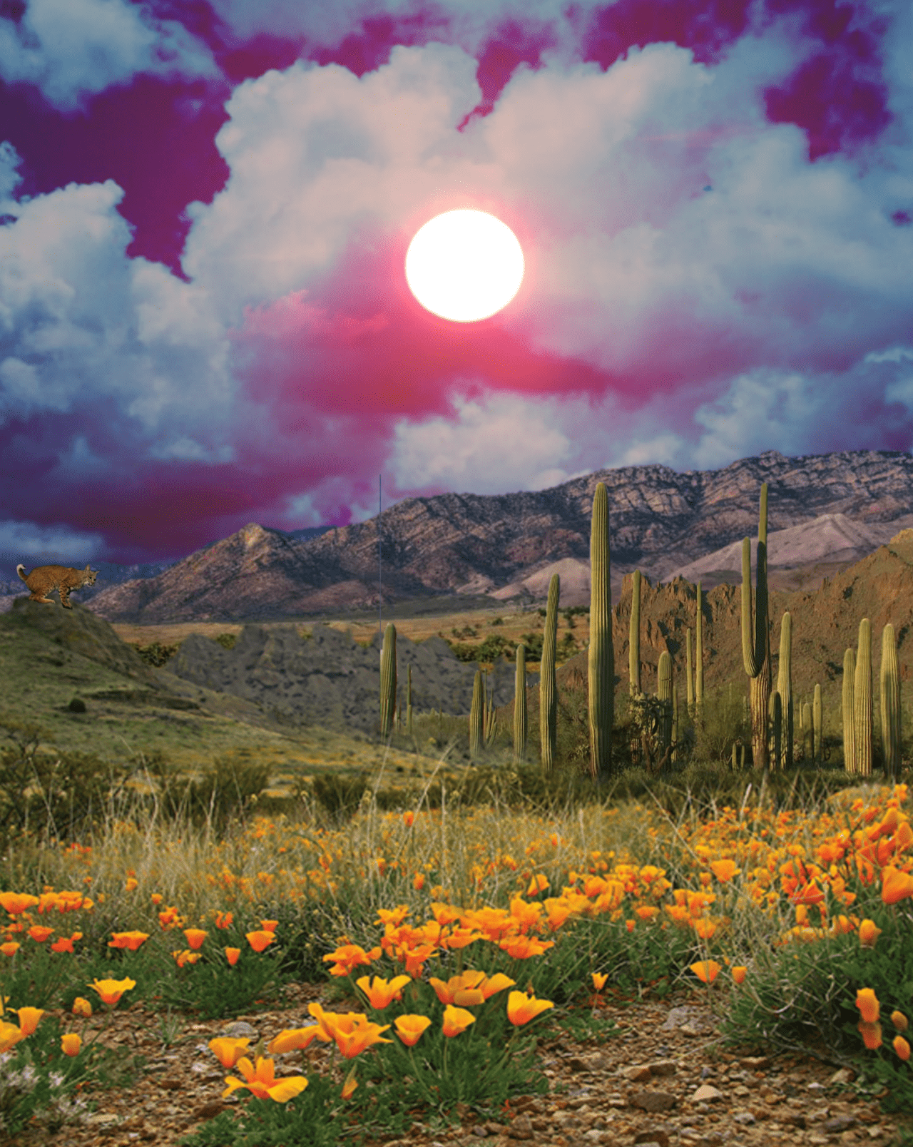 Vintage Aesthetic Landscape Wallpapers - Top Free Vintage Aesthetic ...