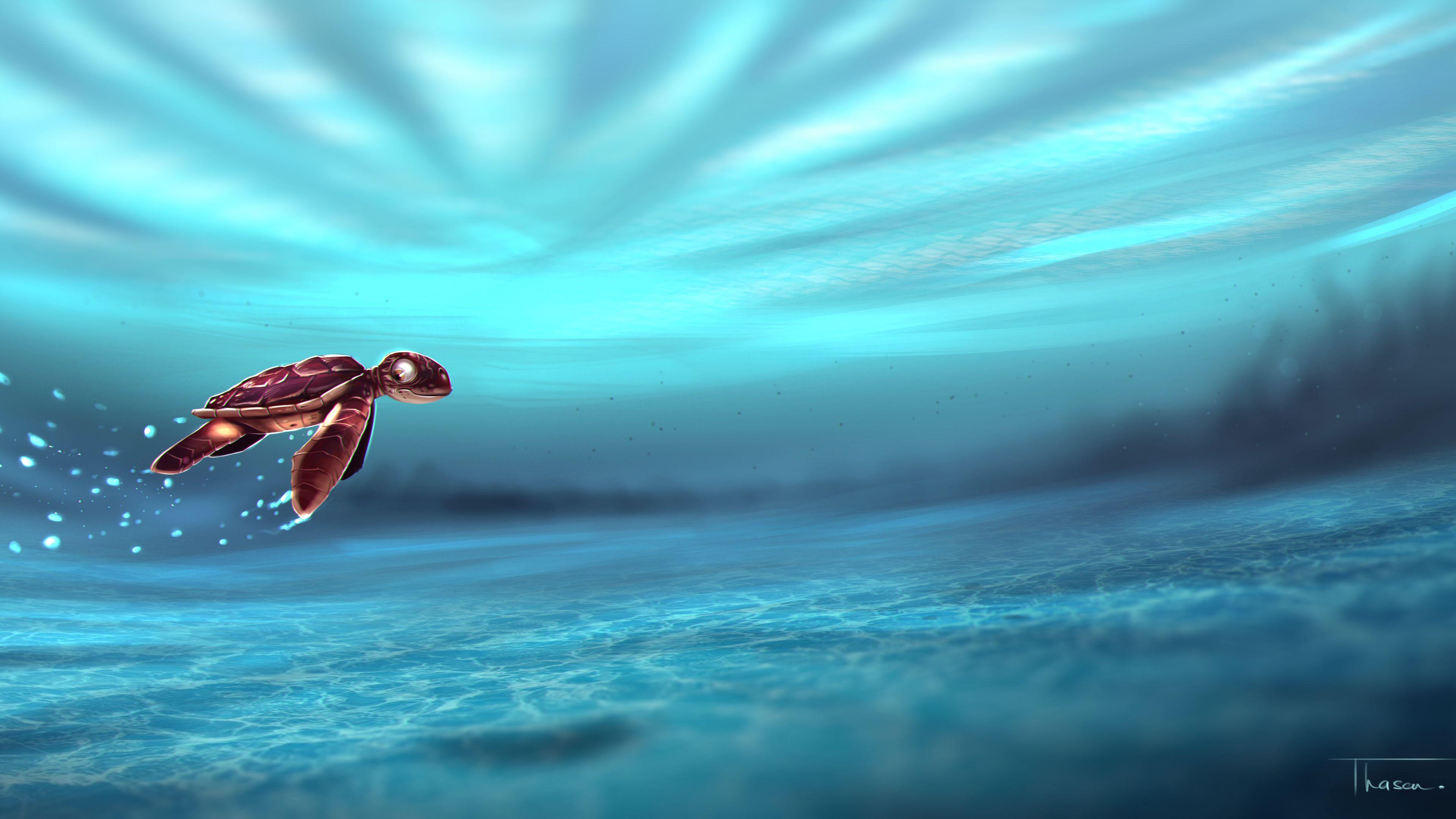 4K Turtle Wallpapers - Top Free 4K Turtle Backgrounds - WallpaperAccess