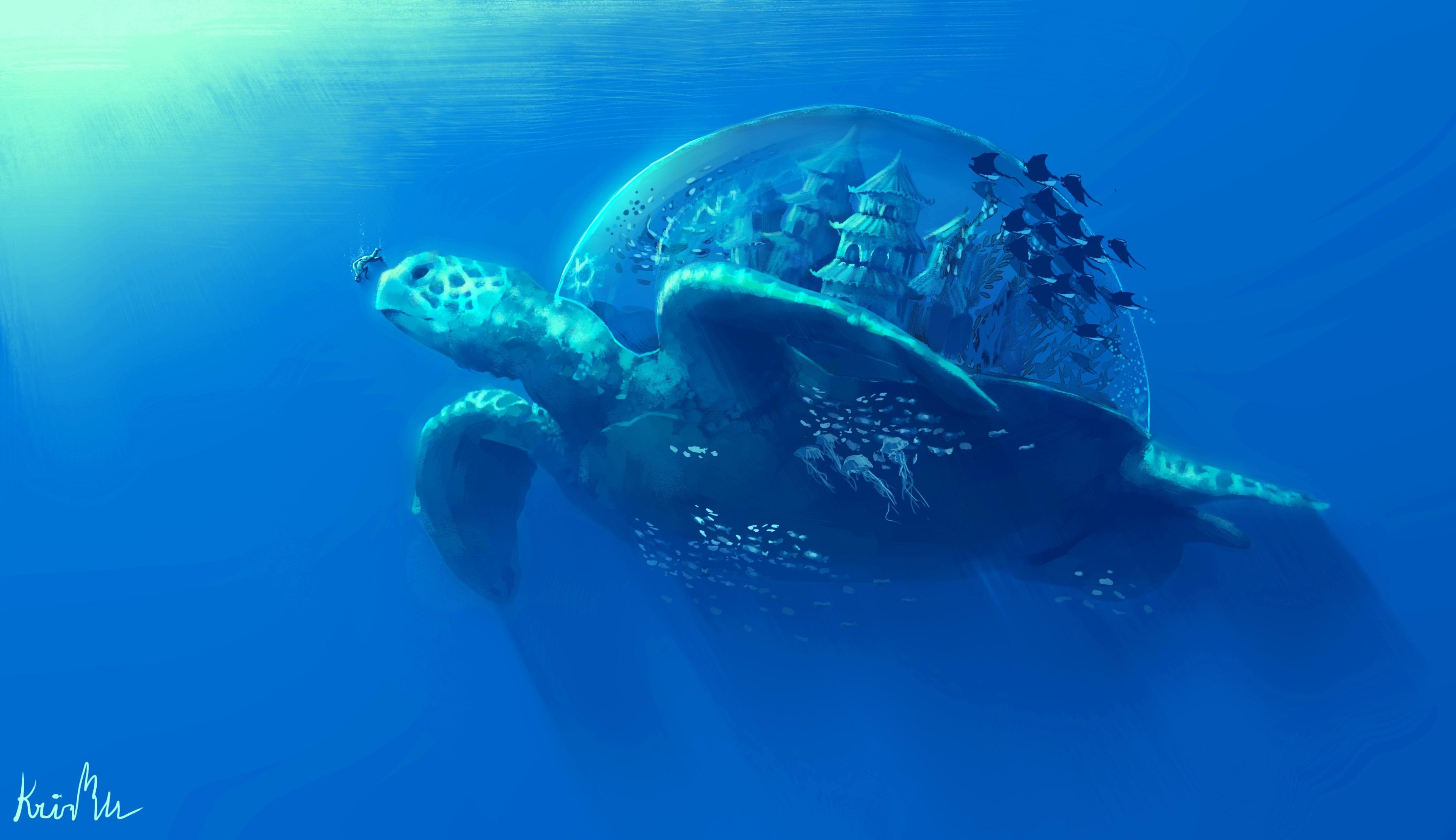 4K Turtle Wallpapers - Top Free 4K Turtle Backgrounds - WallpaperAccess