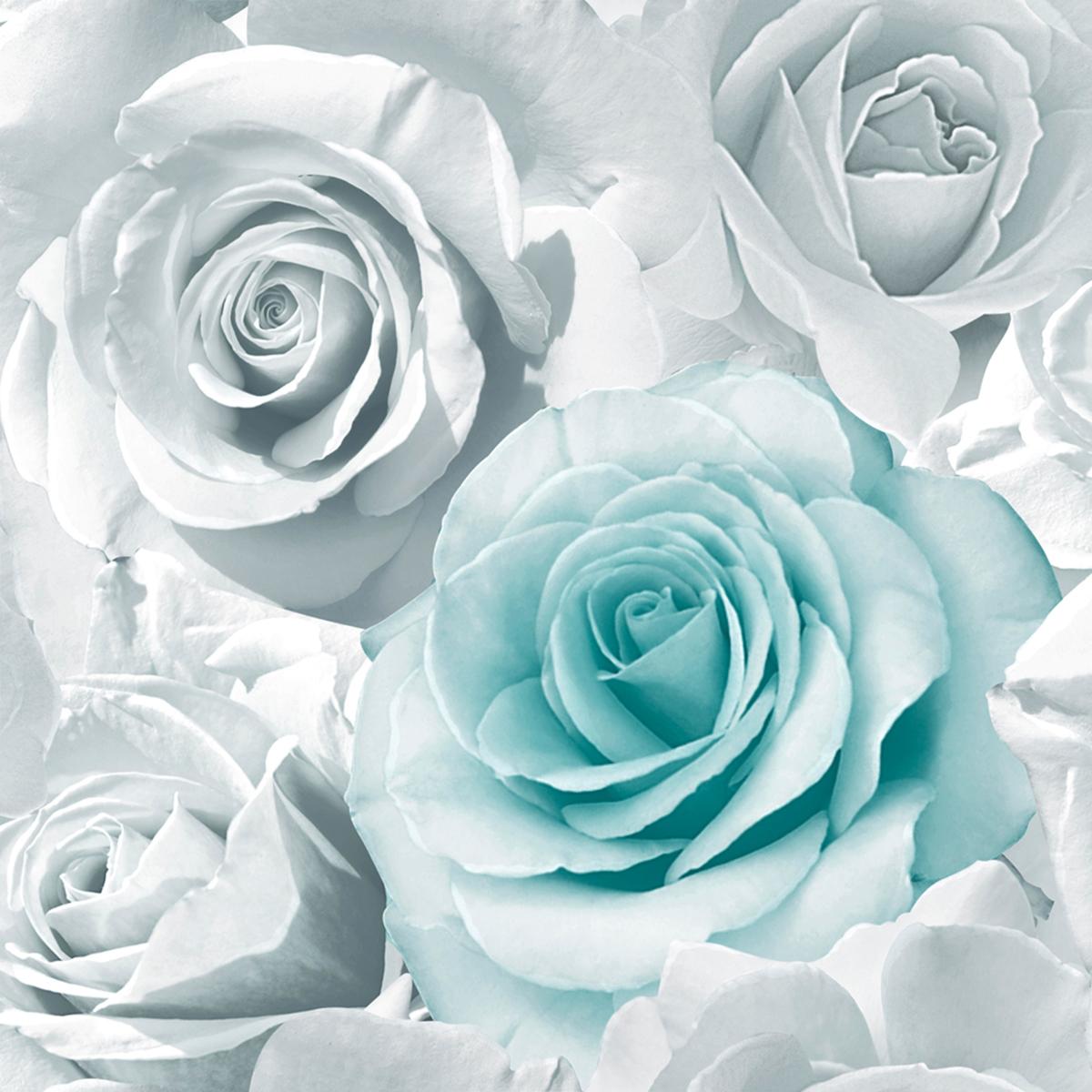 Teal Rose Wallpapers - Top Free Teal Rose Backgrounds - WallpaperAccess