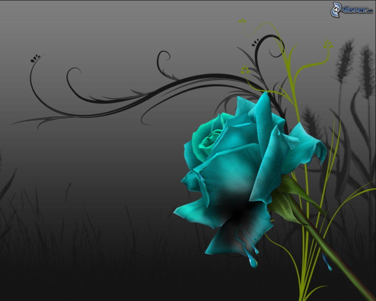 Teal Rose Wallpapers - Top Free Teal Rose Backgrounds - WallpaperAccess