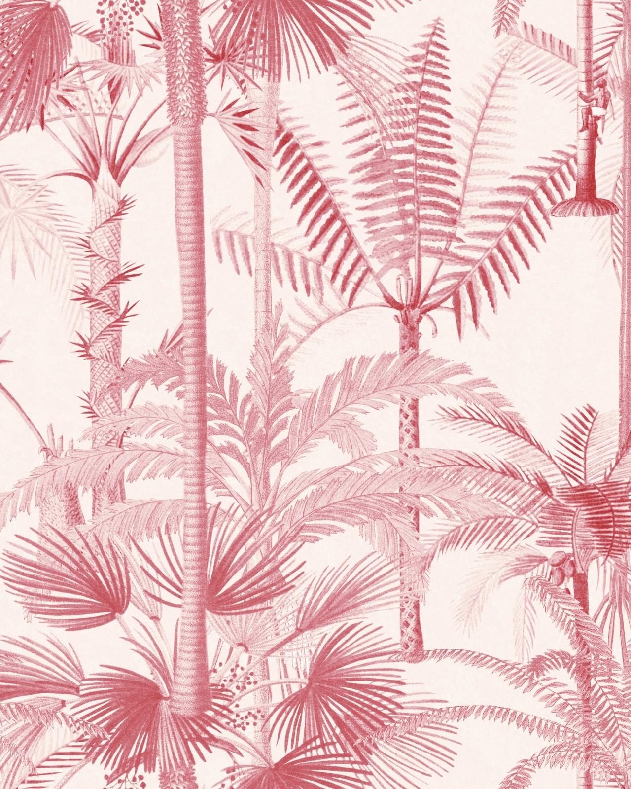 Miami Pink Wallpapers - Top Free Miami Pink Backgrounds - WallpaperAccess