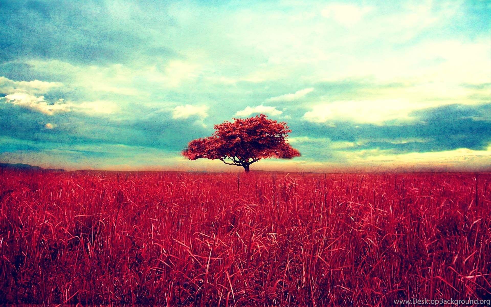 Beautiful Red Desktop Wallpapers - Top Free Beautiful Red Desktop ...