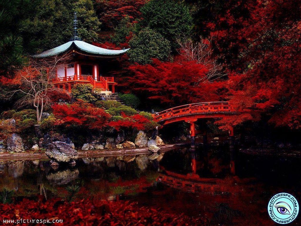 Beautiful Red Desktop Wallpapers - Top Free Beautiful Red Desktop ...