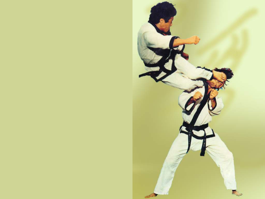 Hapkido Wallpapers - Top Free Hapkido Backgrounds - WallpaperAccess