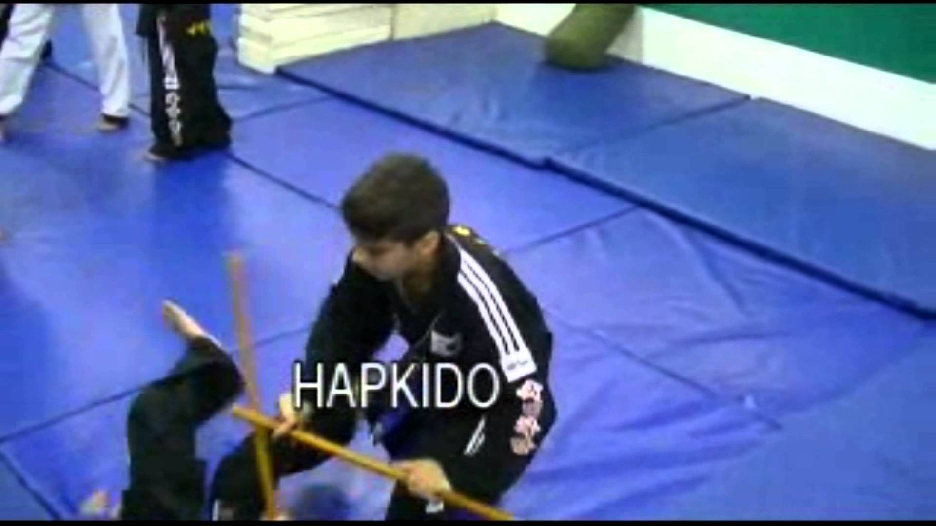Hapkido Wallpapers - Top Free Hapkido Backgrounds - WallpaperAccess