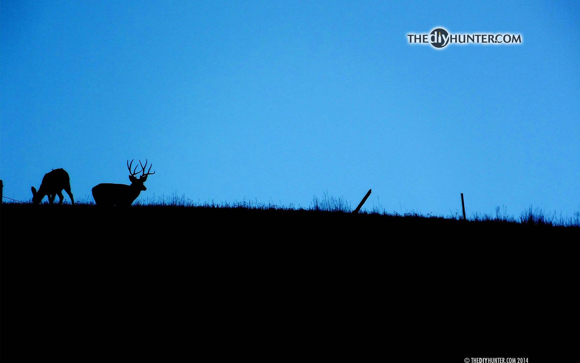 Personal Desktop Wallpapers - Top Free Personal Desktop Backgrounds ...