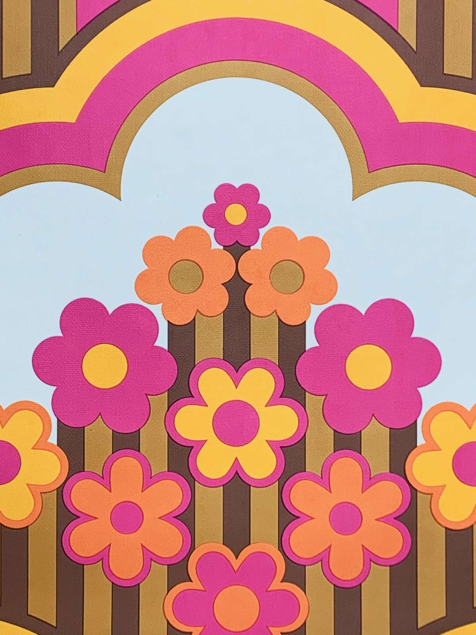 Sunky Wallpapers - Top Free Sunky Backgrounds - WallpaperAccess