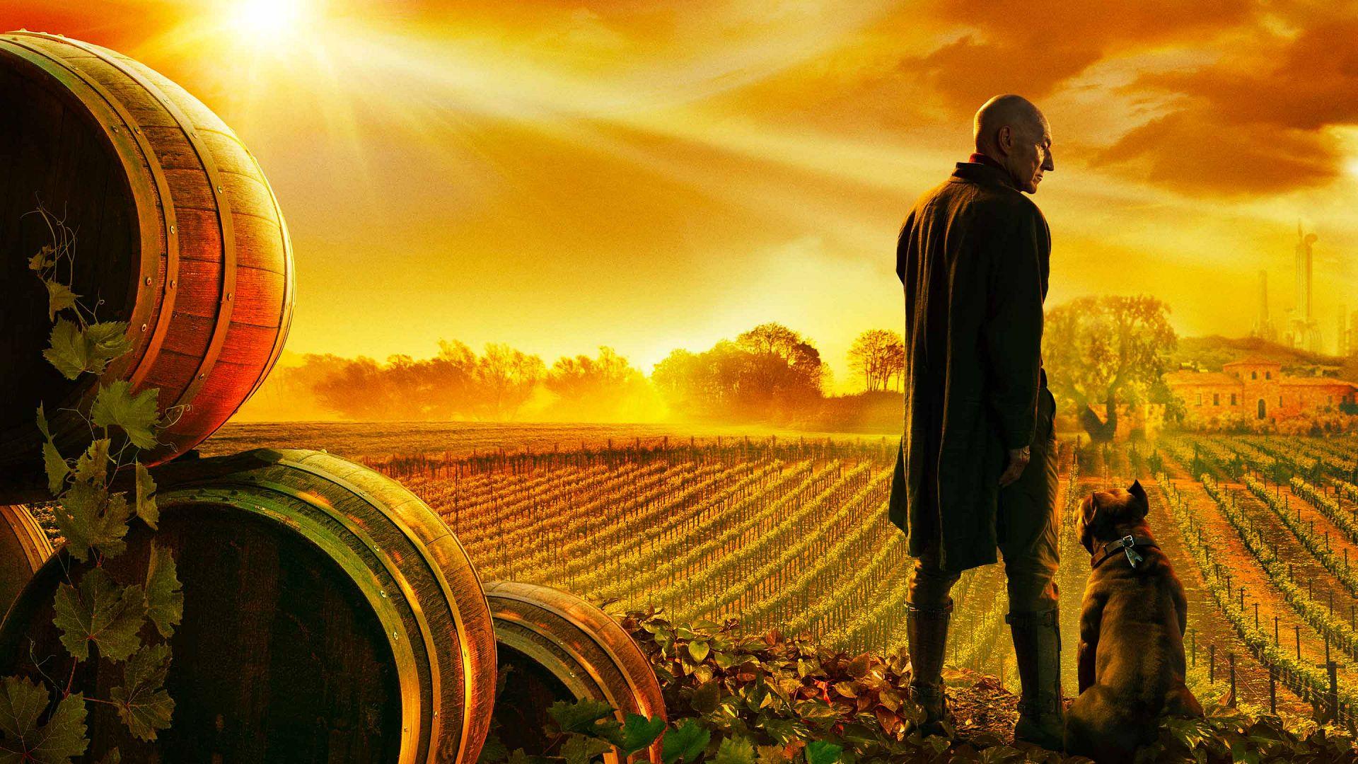 Star Trek Picard Wallpapers - Top Free Star Trek Picard Backgrounds ...