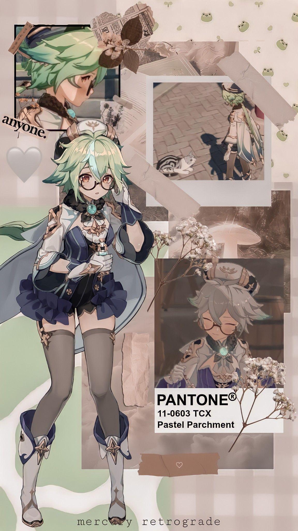 Sucrose Wallpapers - Top Free Sucrose Backgrounds - WallpaperAccess