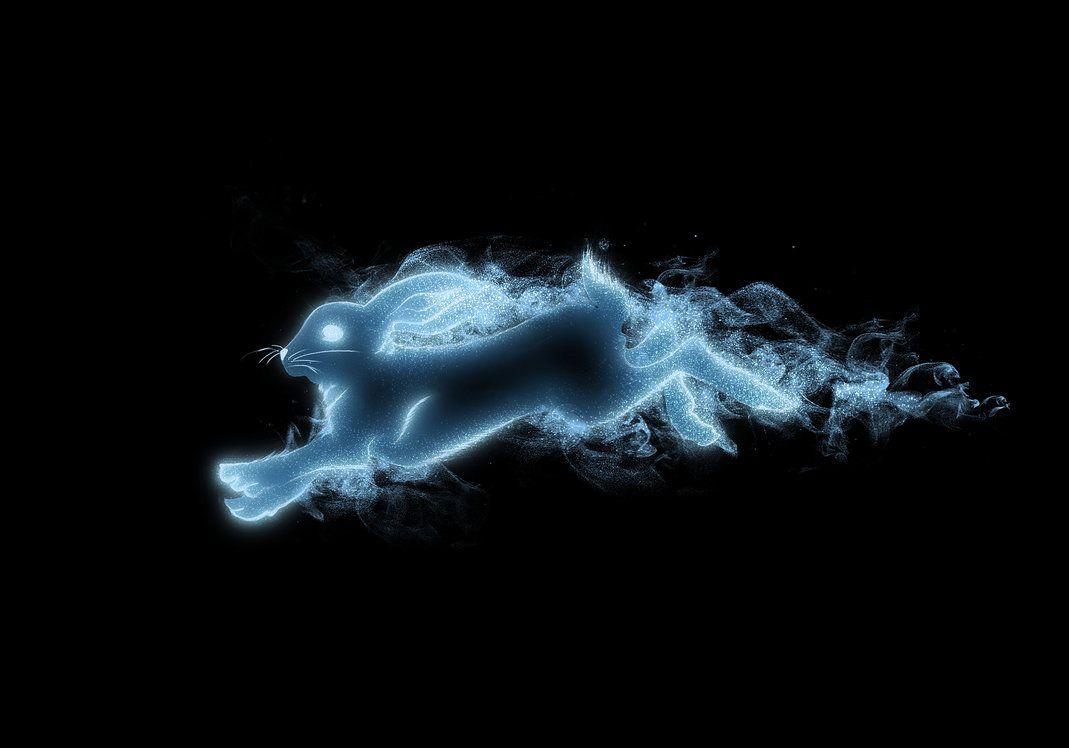 Rabbit Patronus Wallpapers - Top Free Rabbit Patronus Backgrounds ...