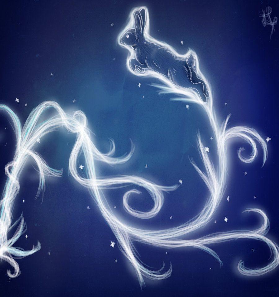 Rabbit Patronus Wallpapers - Top Free Rabbit Patronus Backgrounds ...