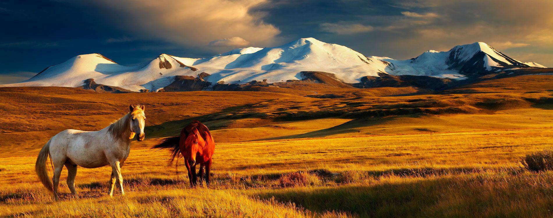 Mongol Desktop Wallpapers - Top Free Mongol Desktop Backgrounds - WallpaperAccess