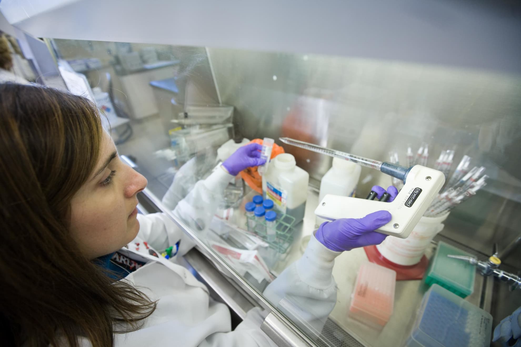 Virology Wallpapers - Top Free Virology Backgrounds - WallpaperAccess