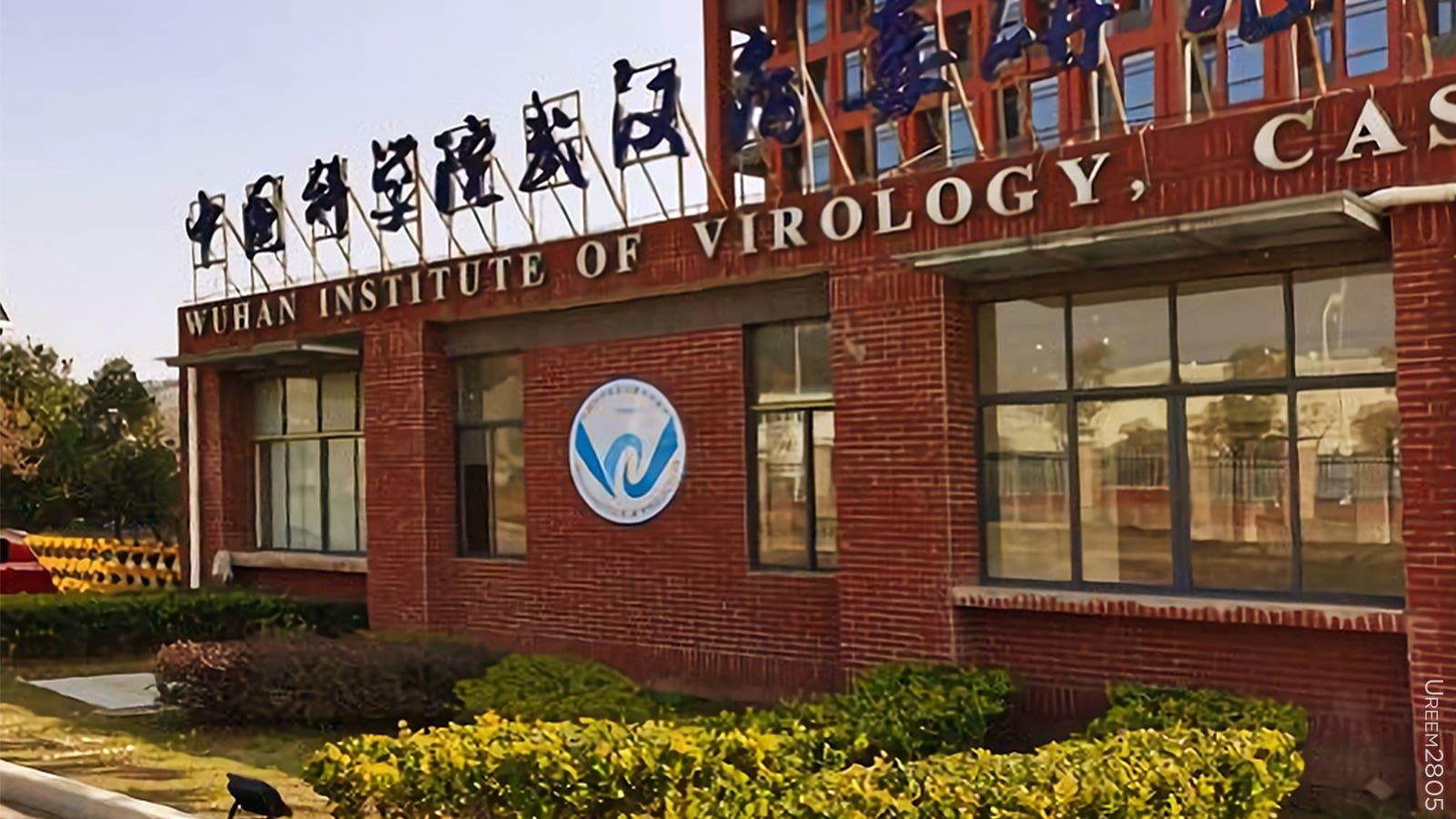 Virology Wallpapers - Top Free Virology Backgrounds - WallpaperAccess