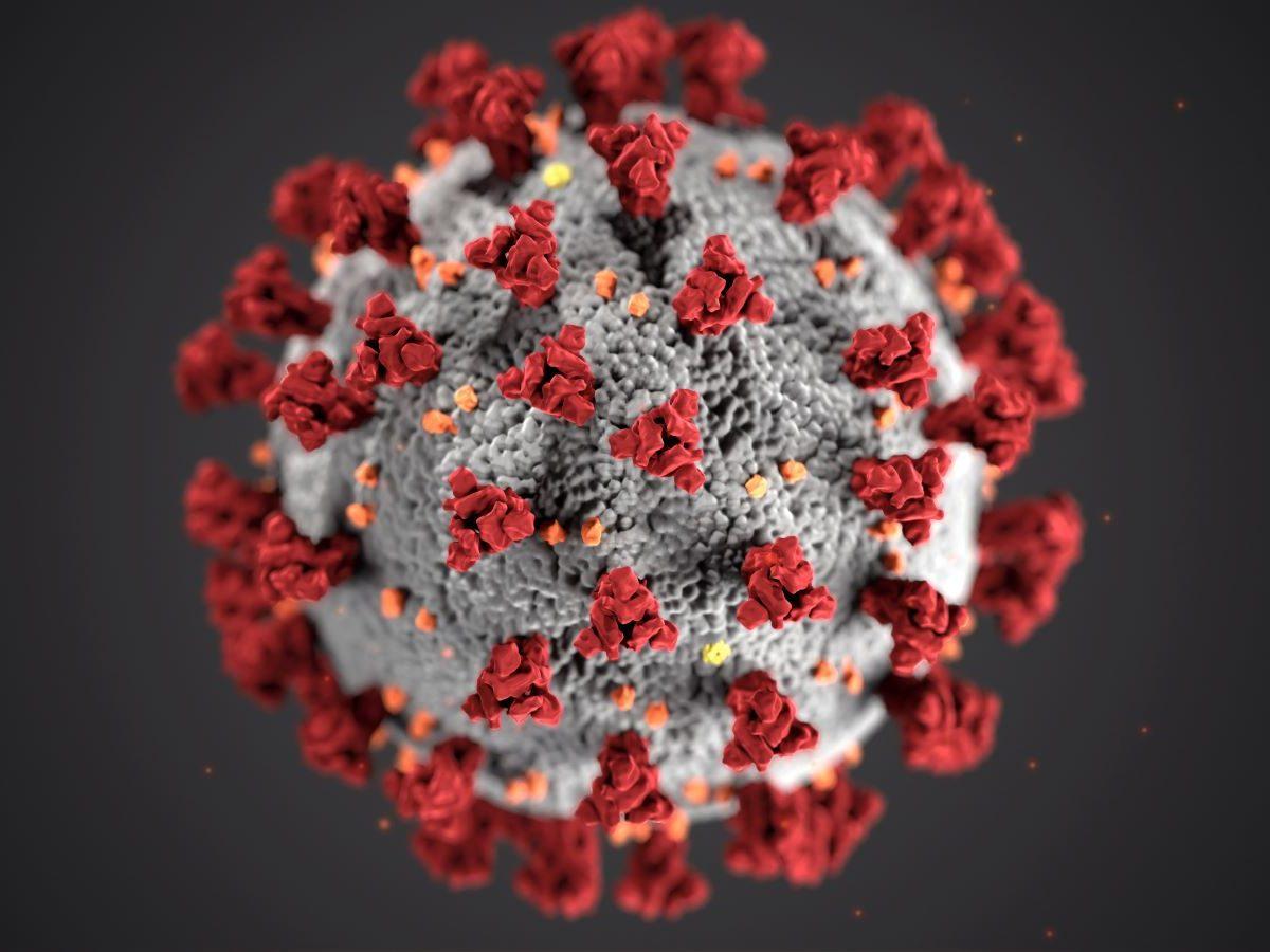 Virology Wallpapers - Top Free Virology Backgrounds - WallpaperAccess