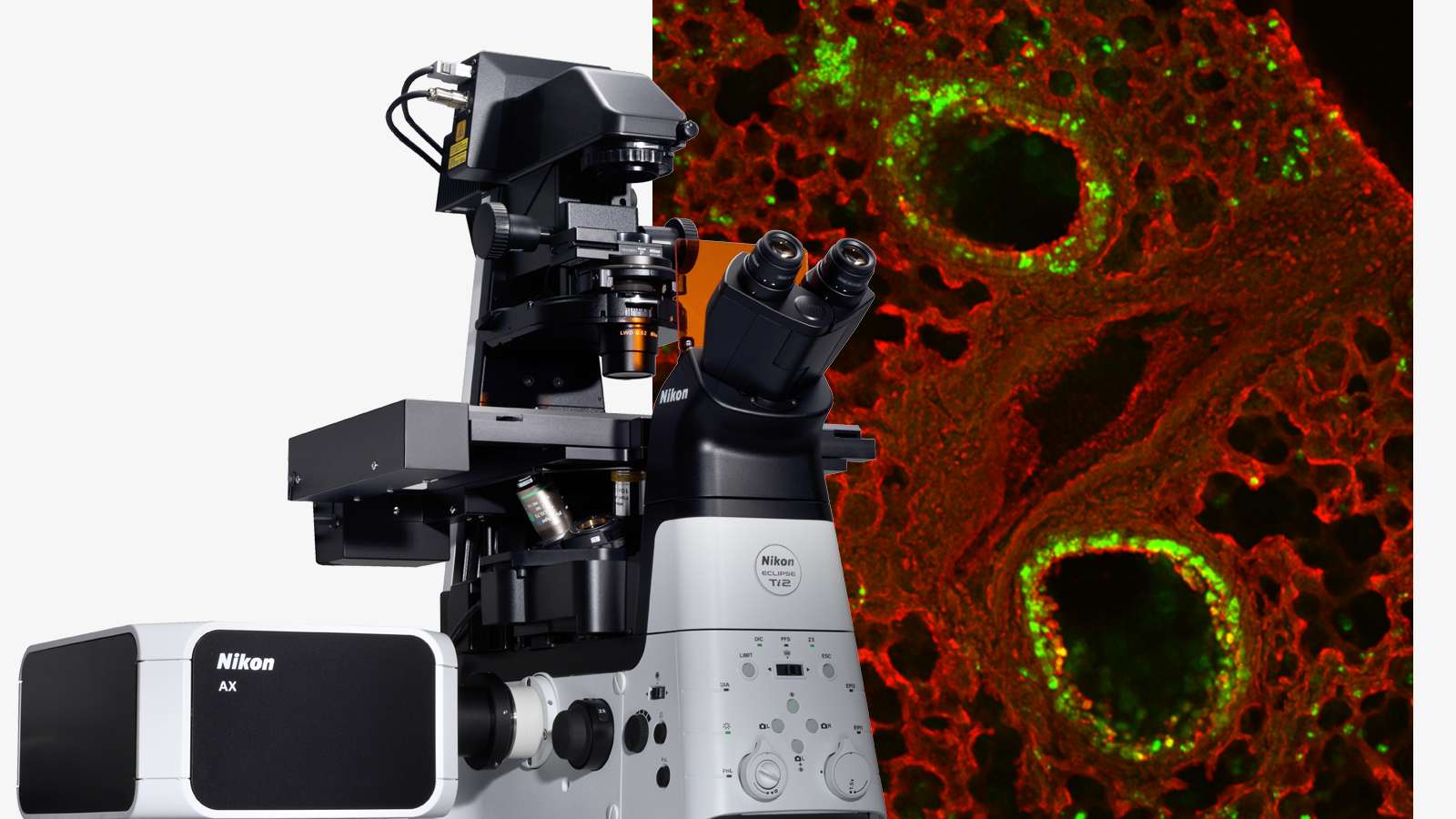 Virology Wallpapers - Top Free Virology Backgrounds - WallpaperAccess