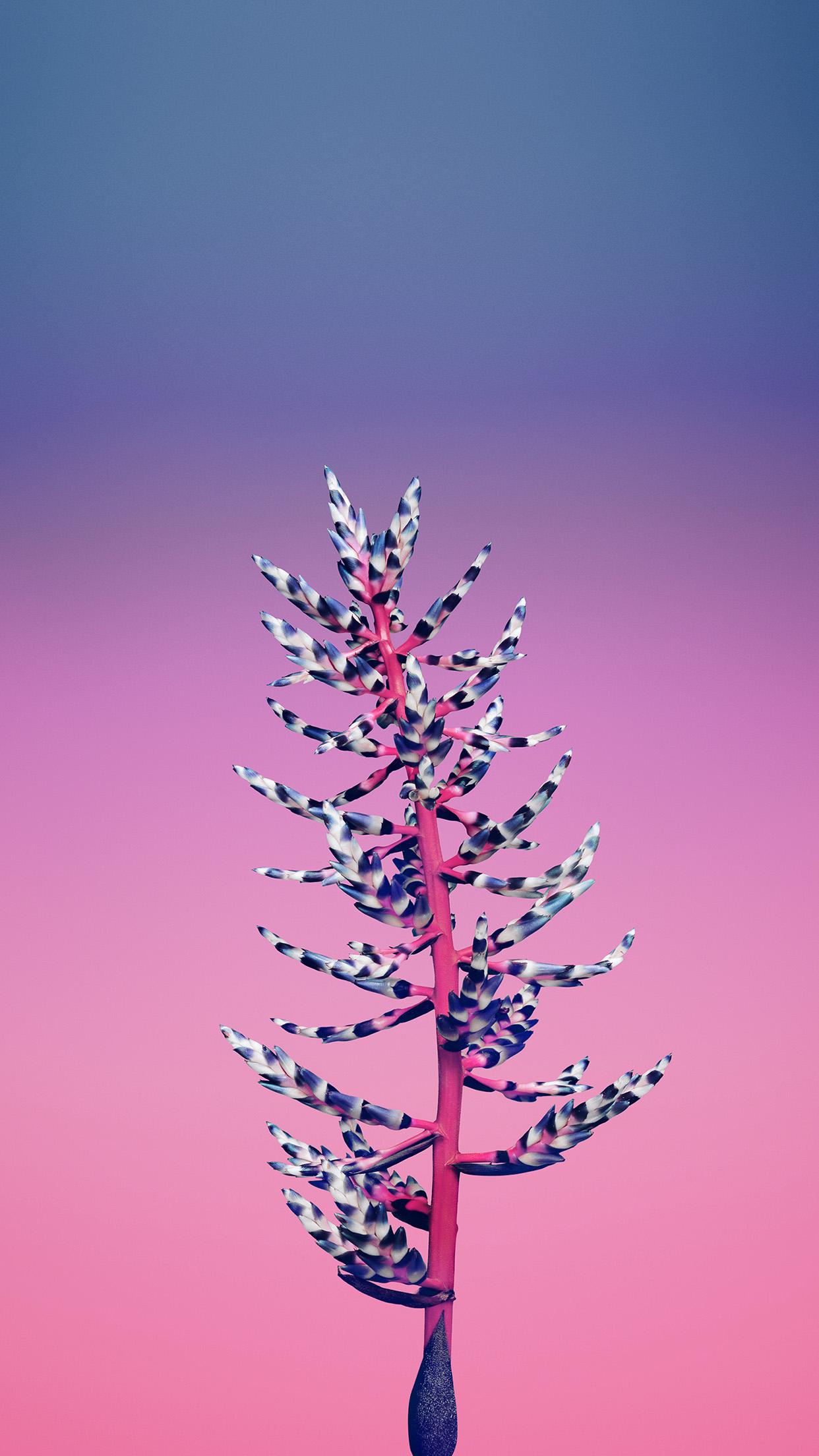 Flower Apple iPhone Wallpapers - Top Free Flower Apple iPhone ...