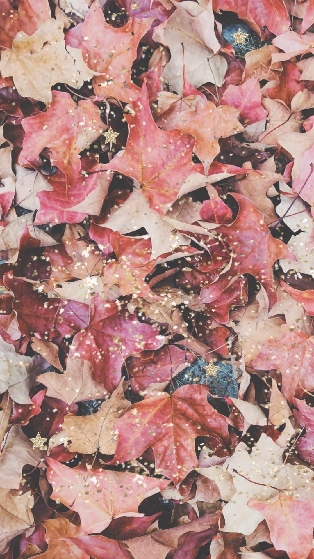 Autumn Leaves Phone Wallpapers - Top Free Autumn Leaves Phone ...