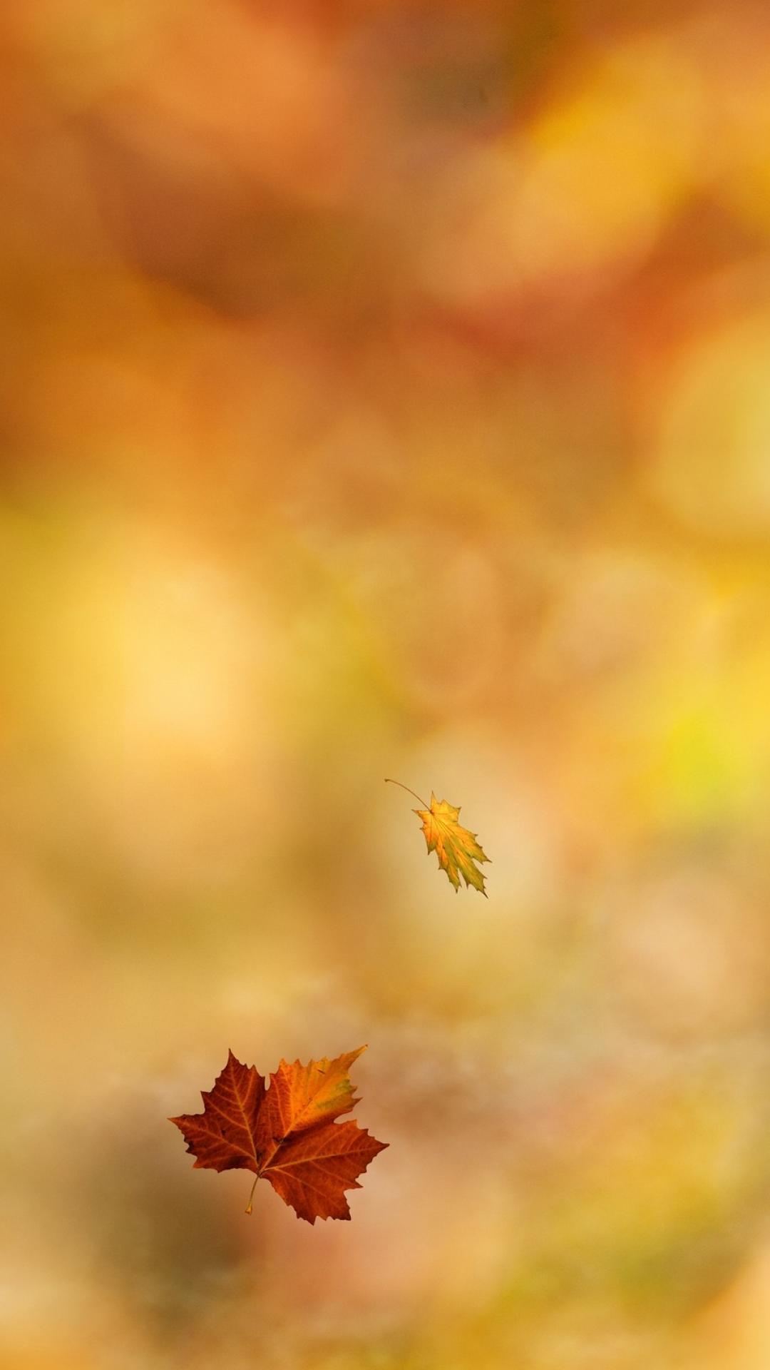 Autumn Leaves Phone Wallpapers - Top Free Autumn Leaves Phone ...