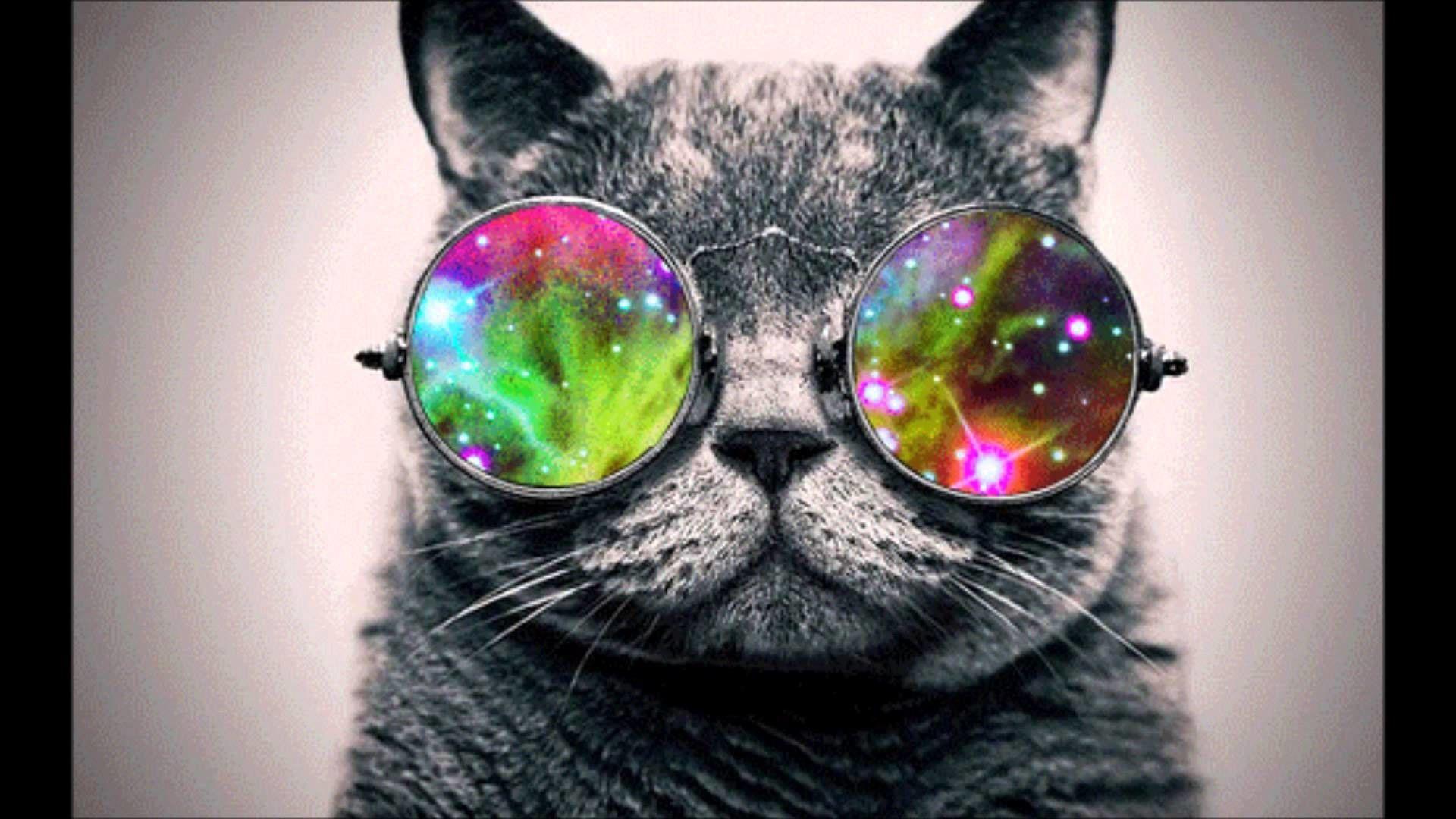 Glasses Cat Galaxy Wallpapers - Top Free Glasses Cat Galaxy Backgrounds ...