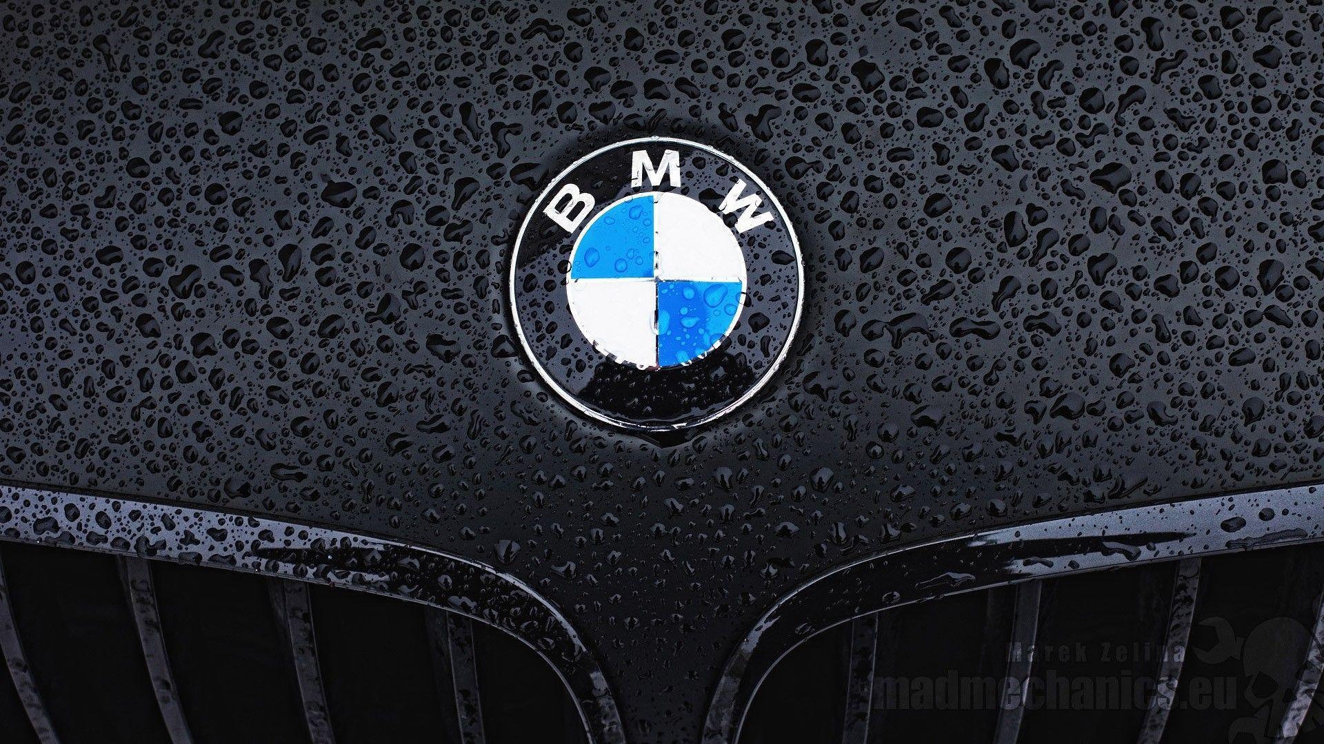 Bmw Logo 4k Wallpapers Top Free Bmw Logo 4k Backgrounds Wallpaperaccess