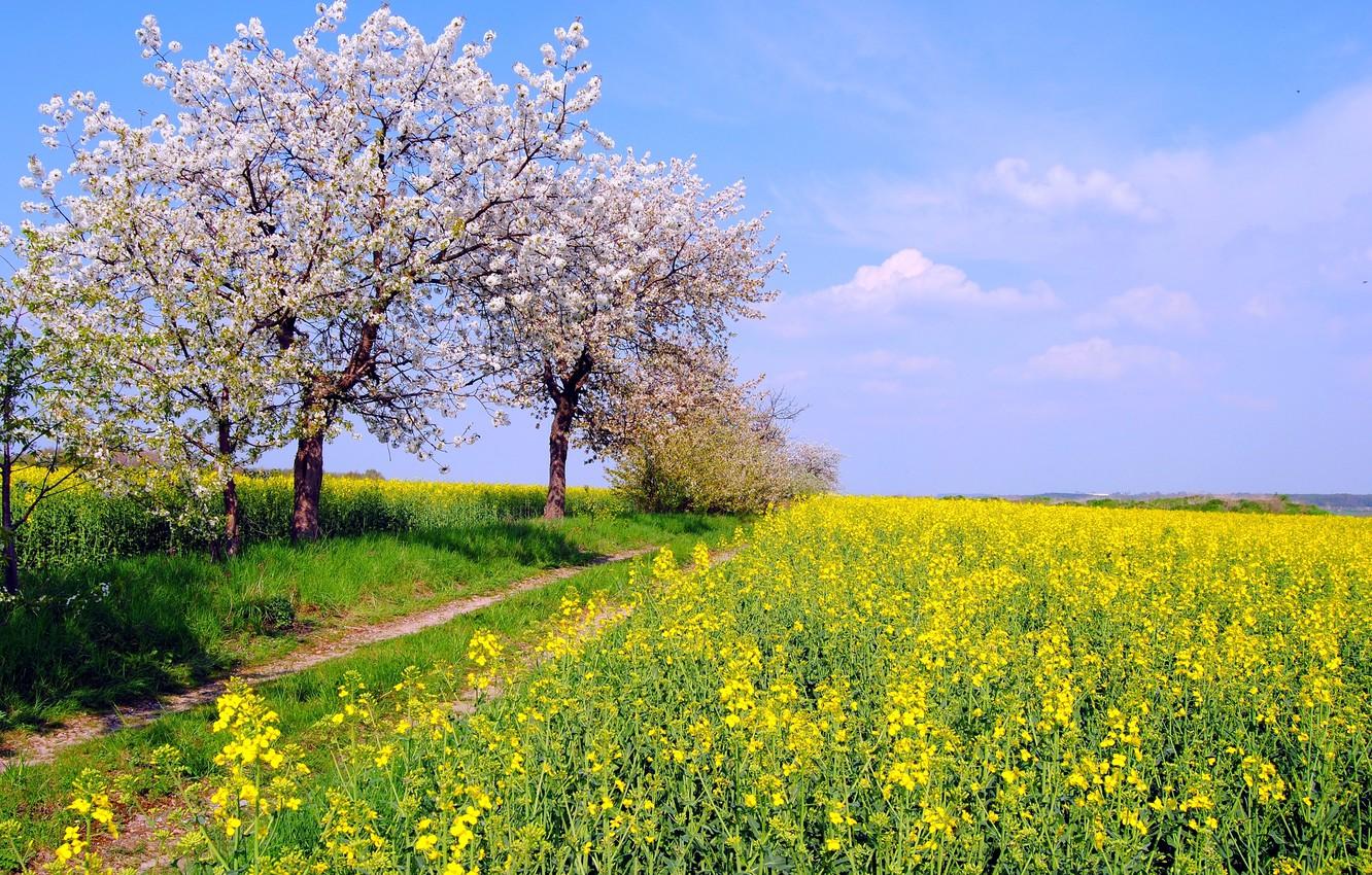 May Spring Wallpapers - Top Free May Spring Backgrounds - WallpaperAccess