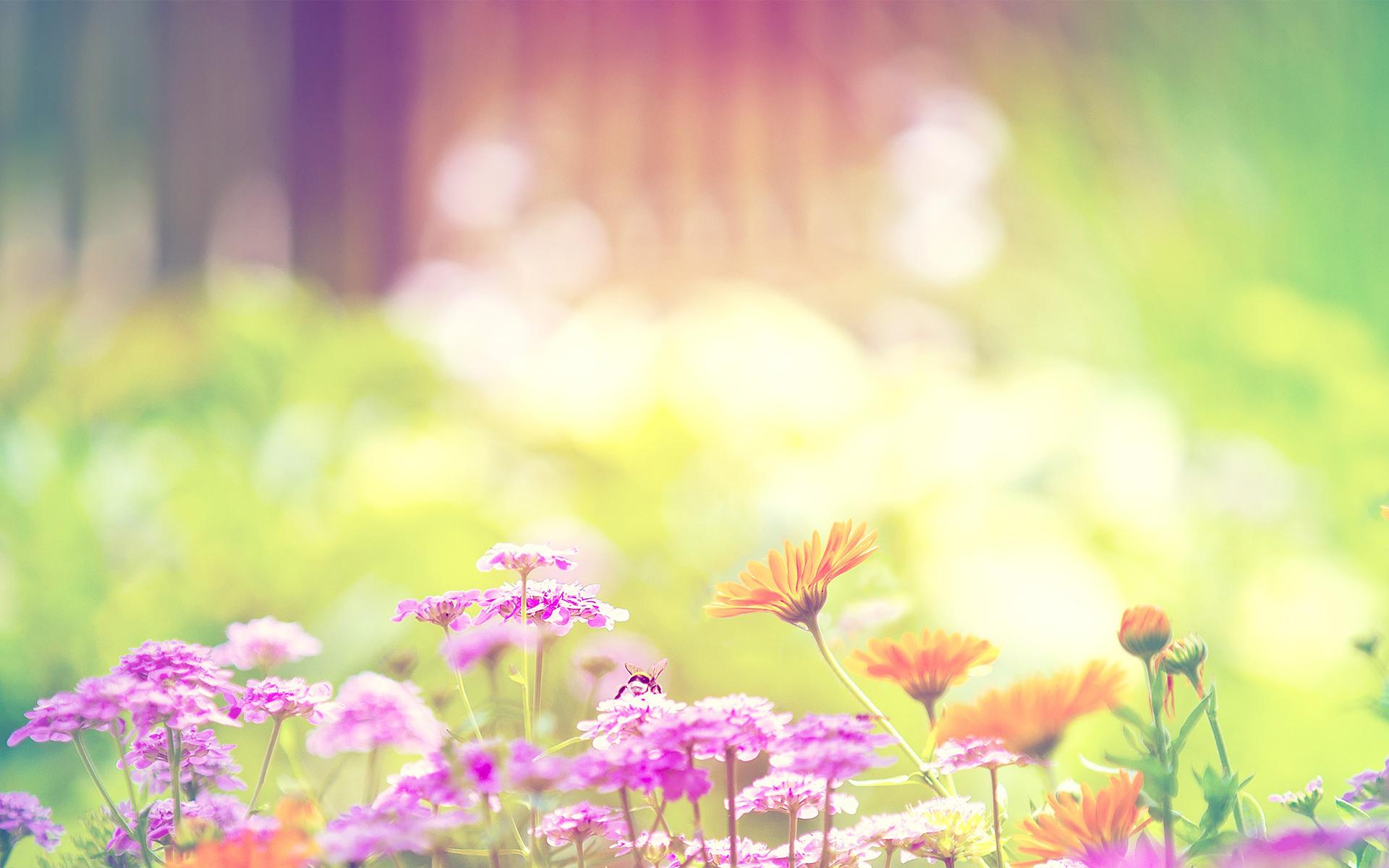May Spring Wallpapers - Top Free May Spring Backgrounds - WallpaperAccess