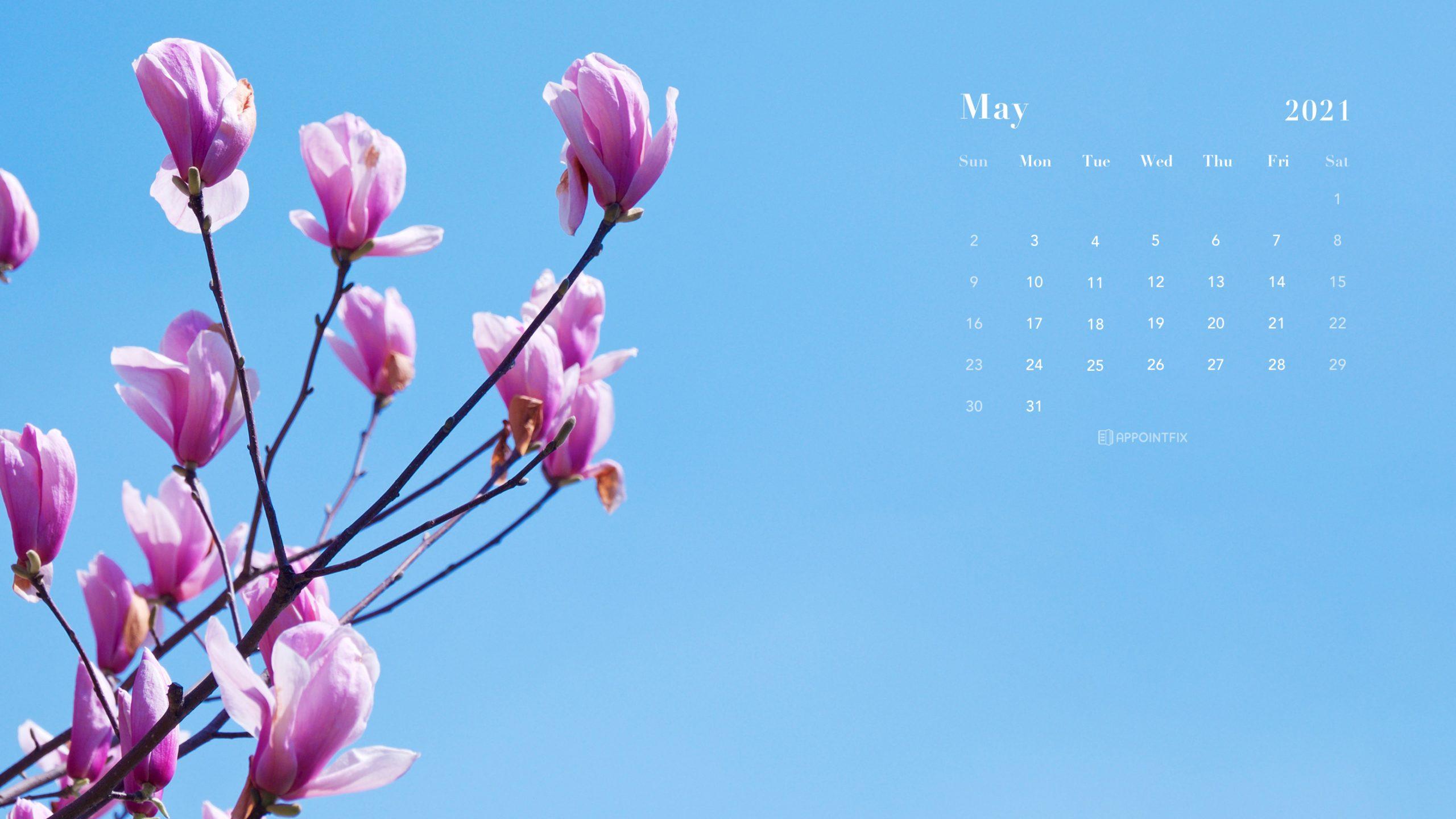 May Spring Wallpapers - Top Free May Spring Backgrounds - WallpaperAccess