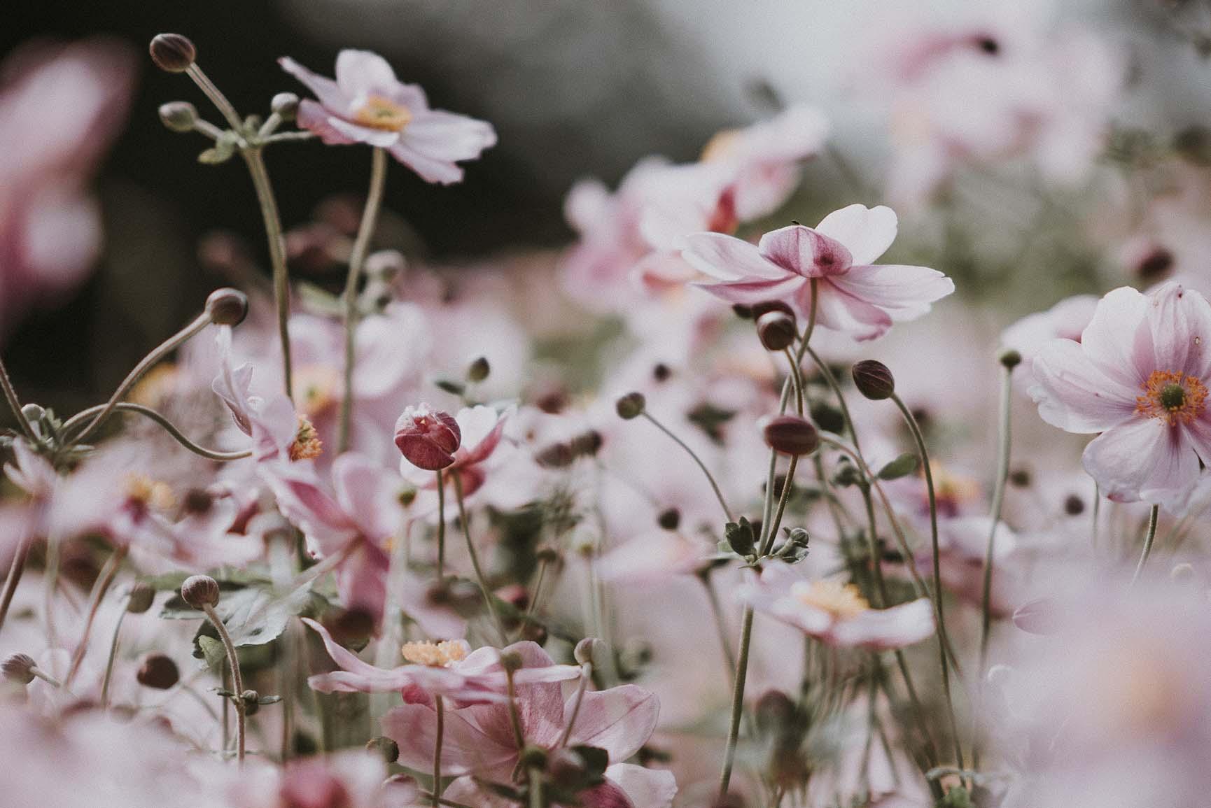 May Spring Wallpapers - Top Free May Spring Backgrounds - WallpaperAccess