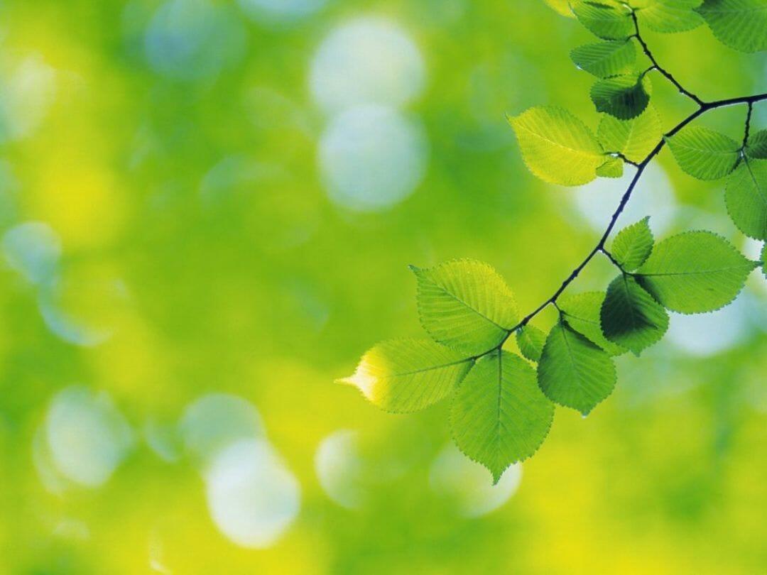 32K UHD Wallpapers - Top Free 32K UHD Backgrounds - WallpaperAccess