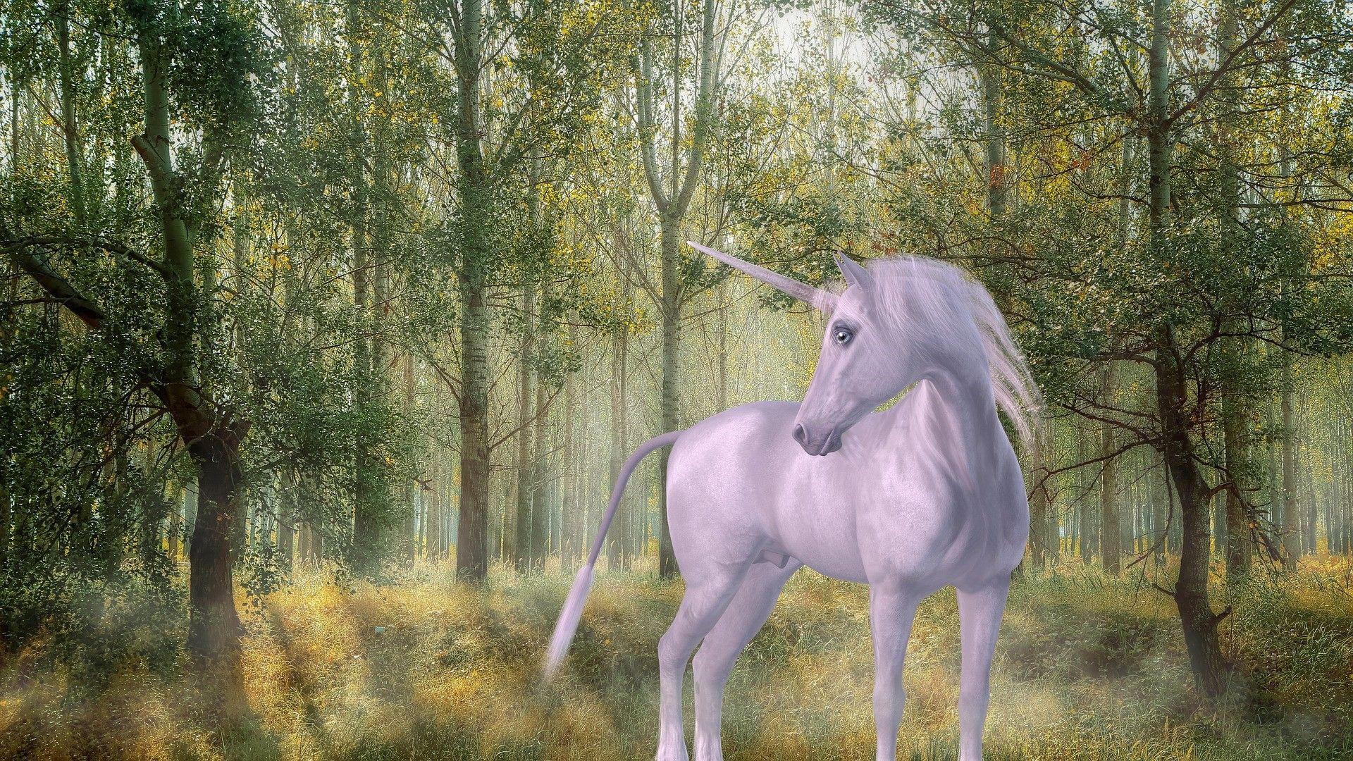 Mystical Unicorn Wallpapers - Top Free Mystical Unicorn Backgrounds ...