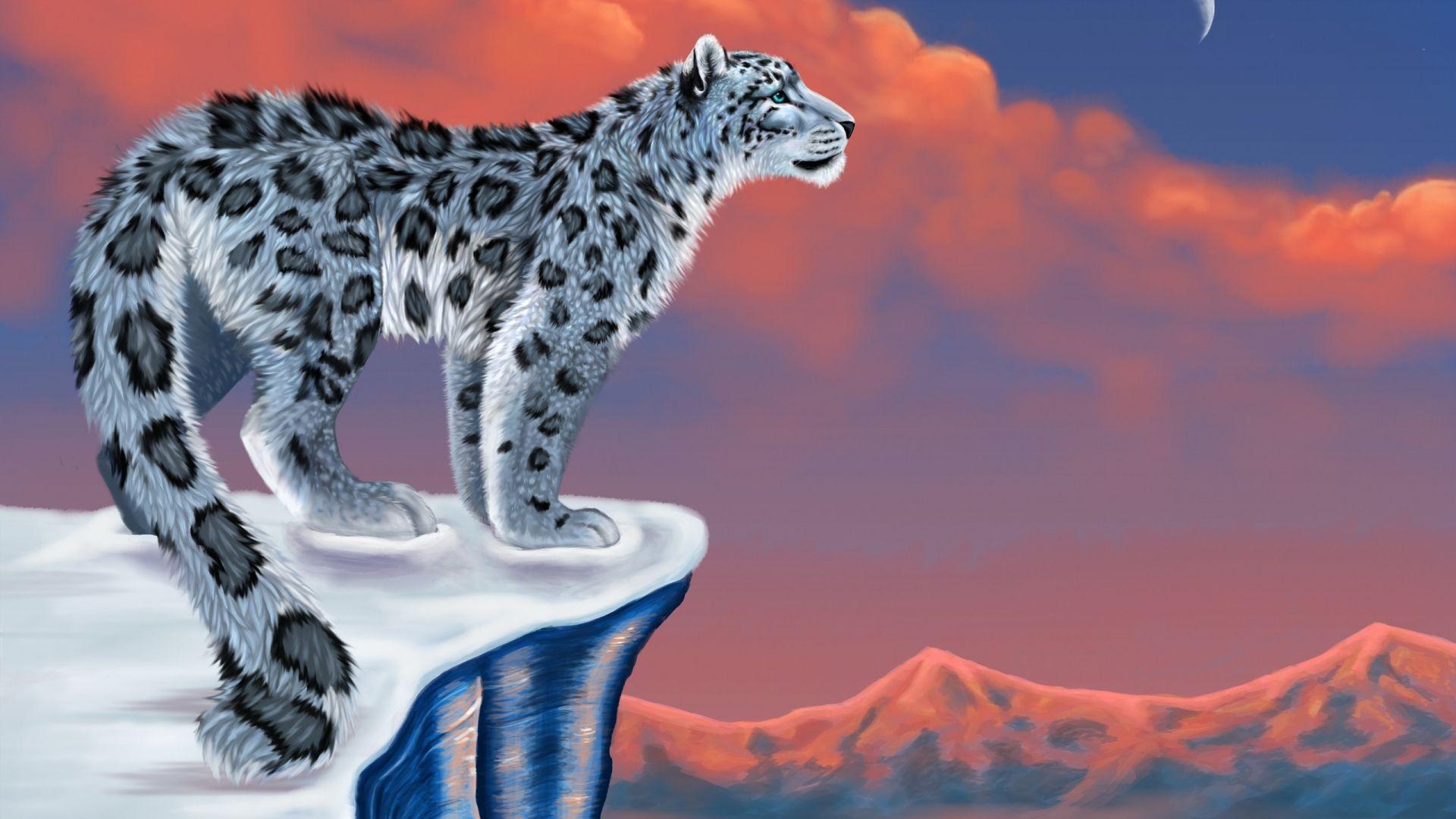 Animal Drawings Wallpapers - Top Free Animal Drawings Backgrounds ...