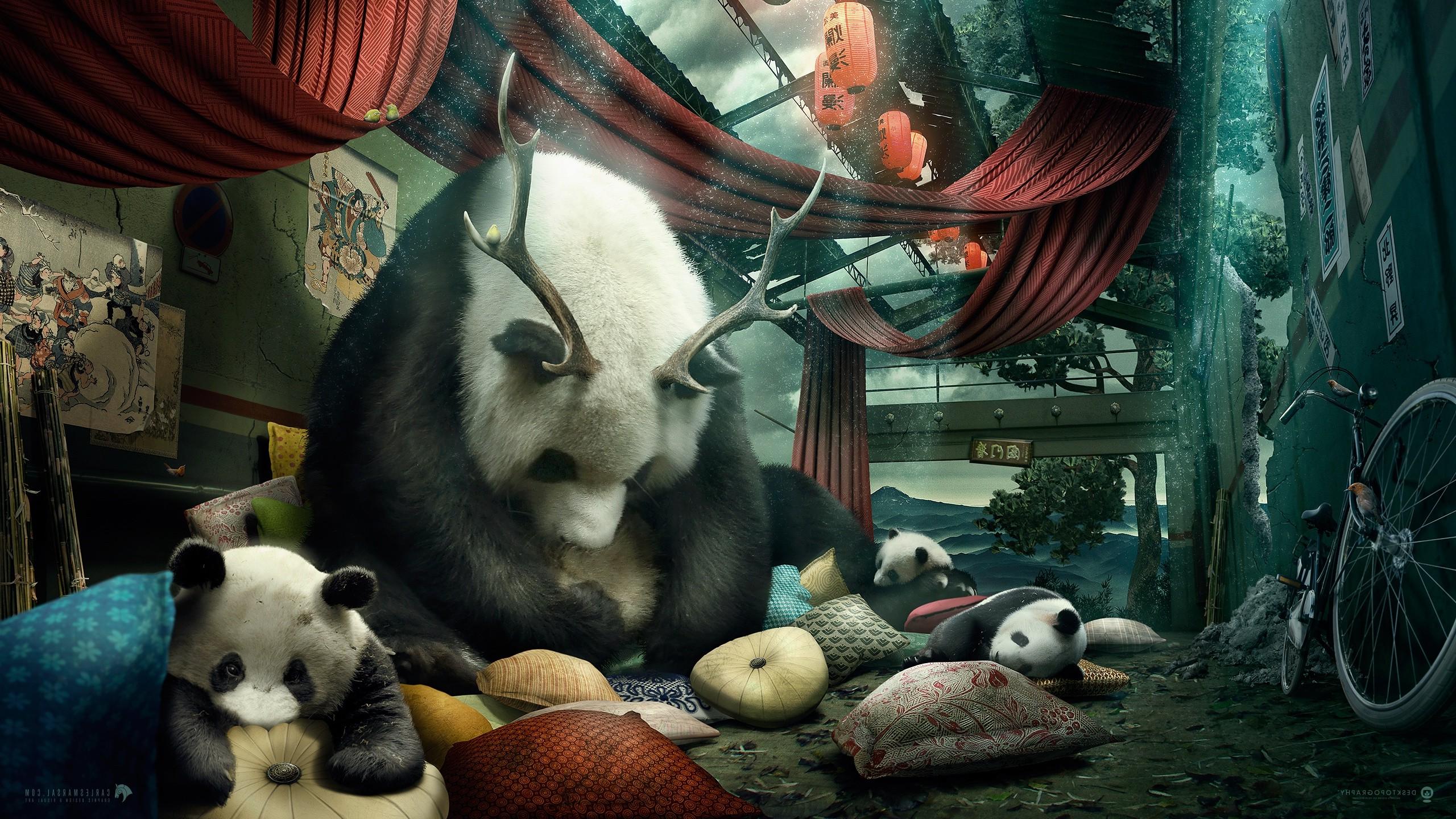 Animal Drawings Wallpapers - Top Free Animal Drawings Backgrounds ...