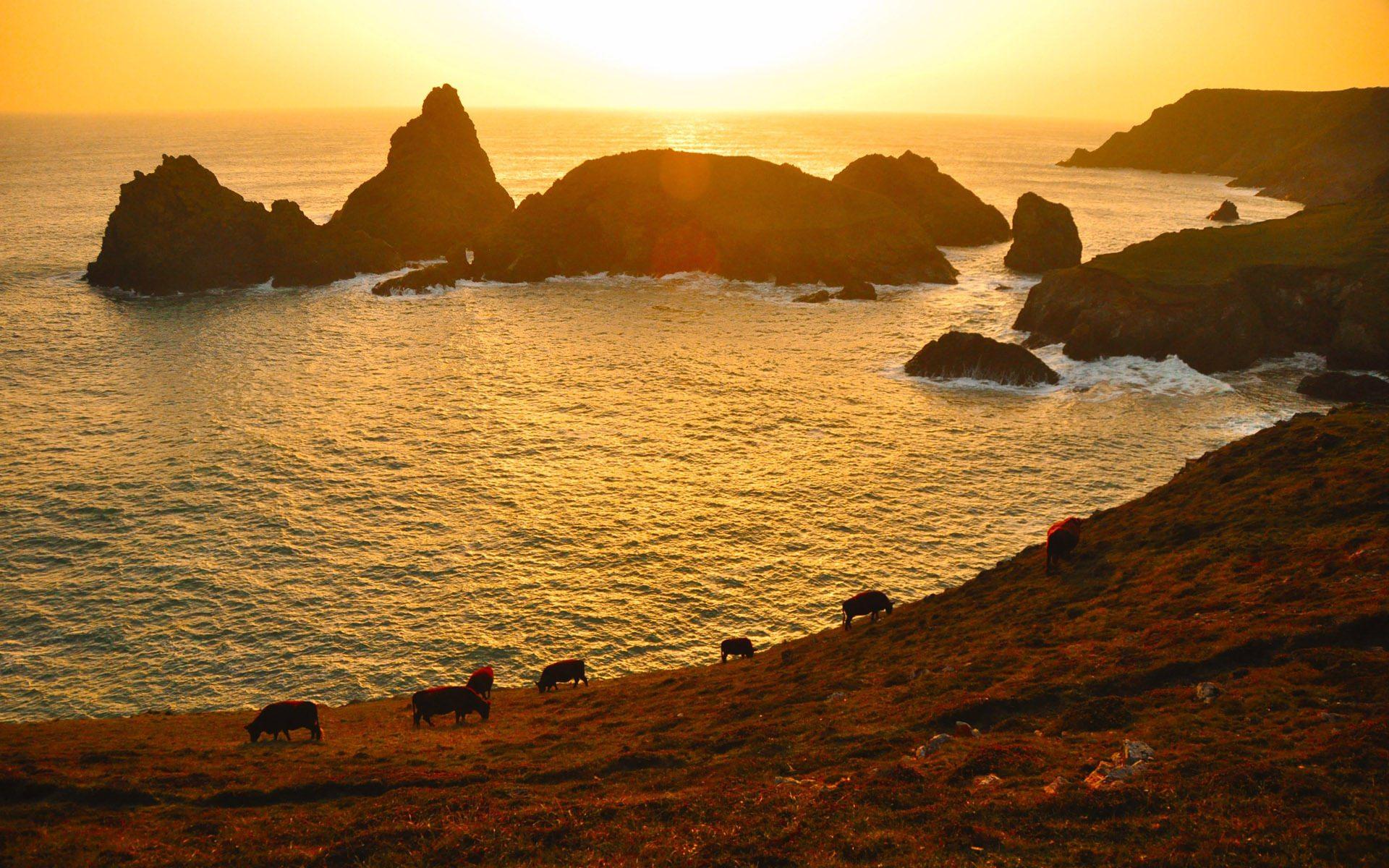 Cornwall Landscape Desktop Wallpapers - Top Free Cornwall Landscape ...