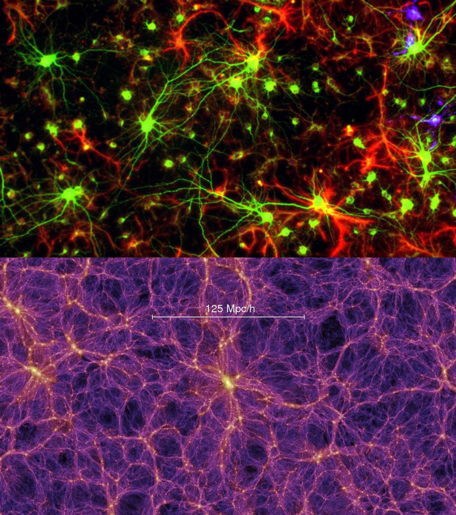 Galaxy Brain Wallpapers Top Free Galaxy Brain Backgrounds Wallpaperaccess