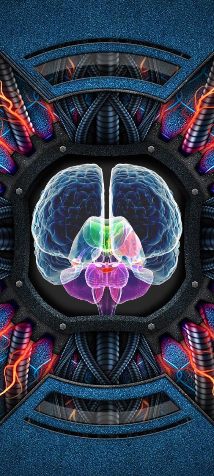 Galaxy Brain Wallpapers - Top Free Galaxy Brain Backgrounds ...
