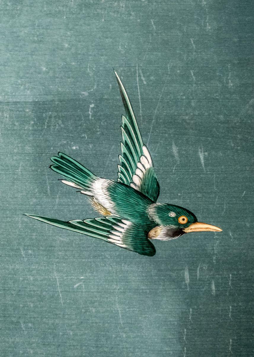 Chinese Bird Wallpapers - Top Free Chinese Bird Backgrounds ...