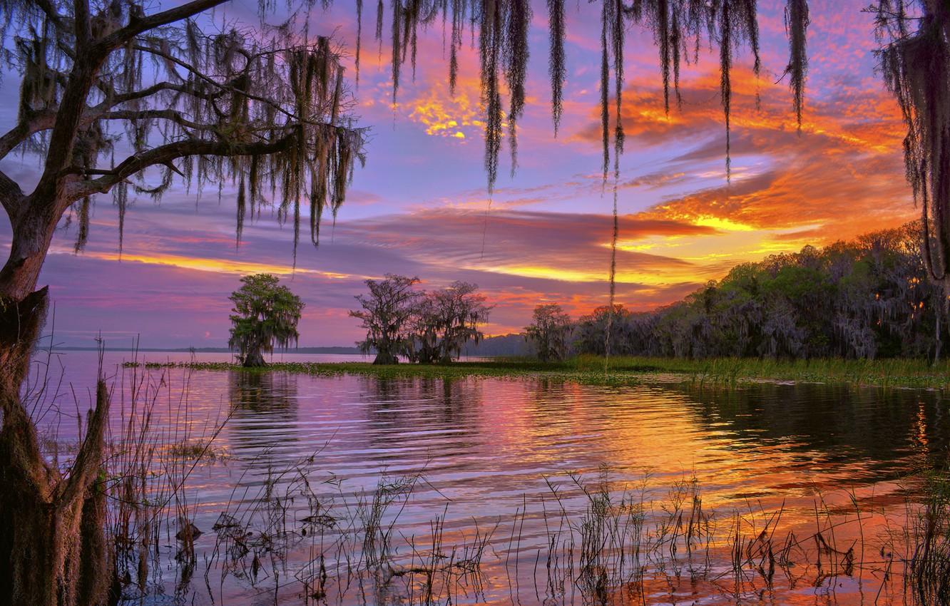 Florida Landscape Wallpapers - Top Free Florida Landscape Backgrounds ...