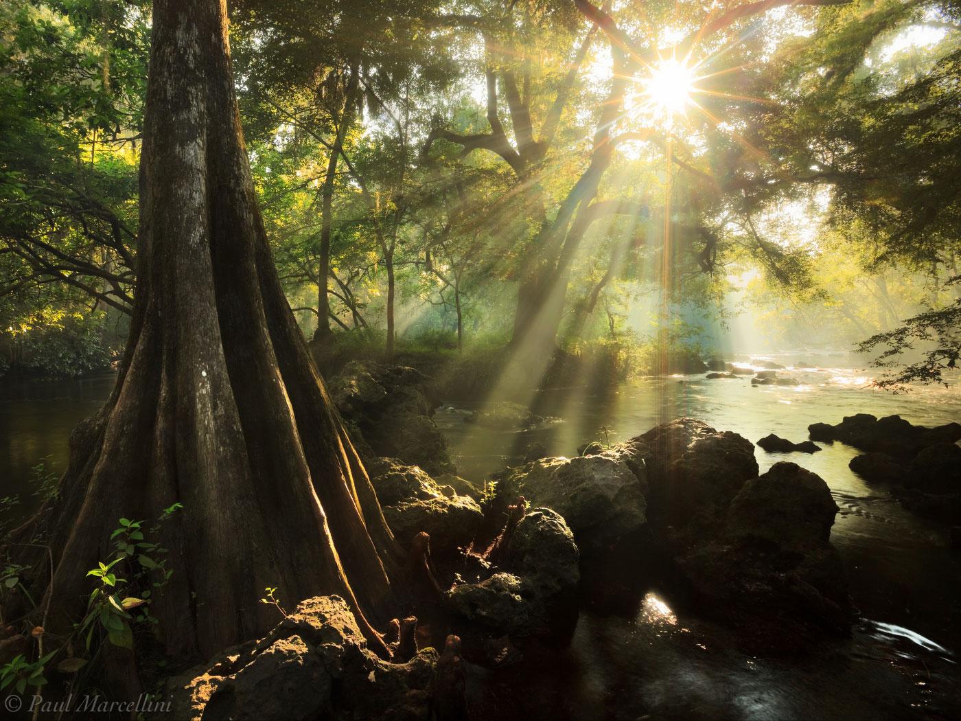 Florida Landscape Wallpapers - Top Free Florida Landscape Backgrounds ...